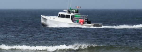 Remembering 'Wicked Tuna' Cast Member Nicholas 'Duffy' Fudge After ...