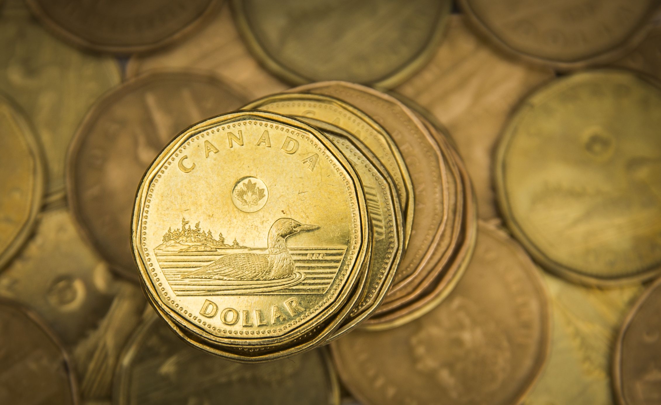 Canada s Wealth Gap 87 Families Owned As Much Wealth As 12 Million Canada s Wealth Gap 87 Families Owned As Much Wealth As 12 Million