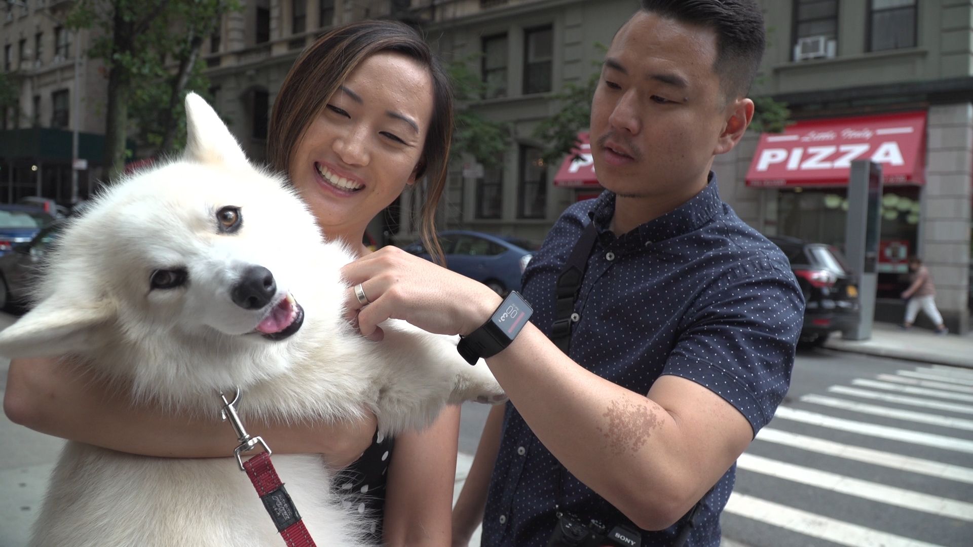 Inside The Life Of An Instagram Famous Pet: How One Dog Became A Star ...