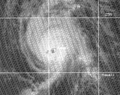 Hawaii's Hurricane Fear: Is Lane Another Hurricane Iniki? - Newsweek