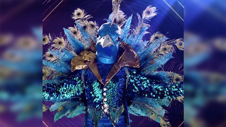 Who Is Behind the Peacock Mask on 'Masked Singer'? Here Are Some ...