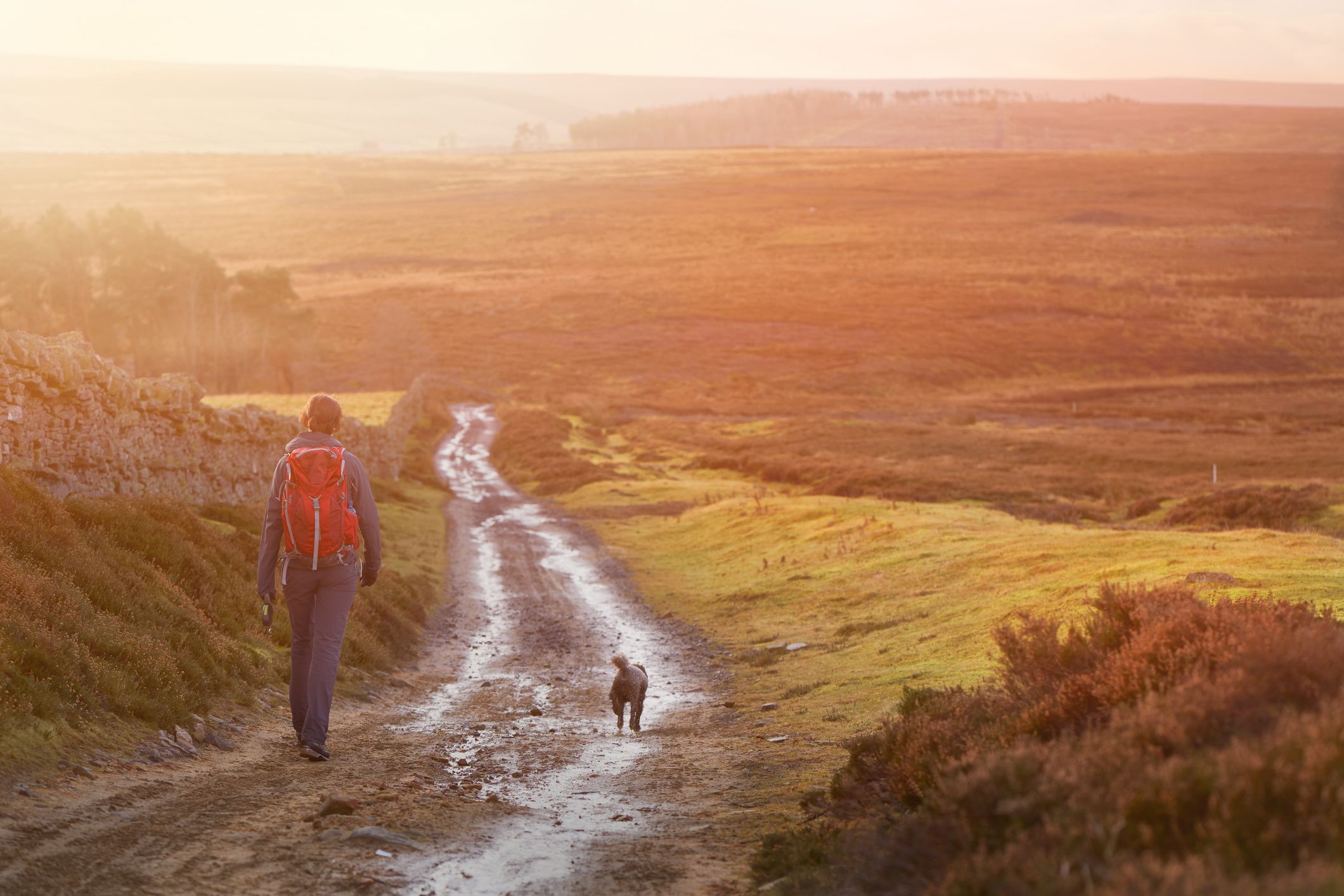 She Lost Everything Only To Find So Much More On A 630 Mile Walk On