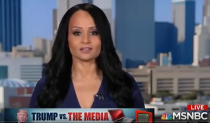 Katrina Pierson Defends Lack of Diversity in Trump White House, Asks ...