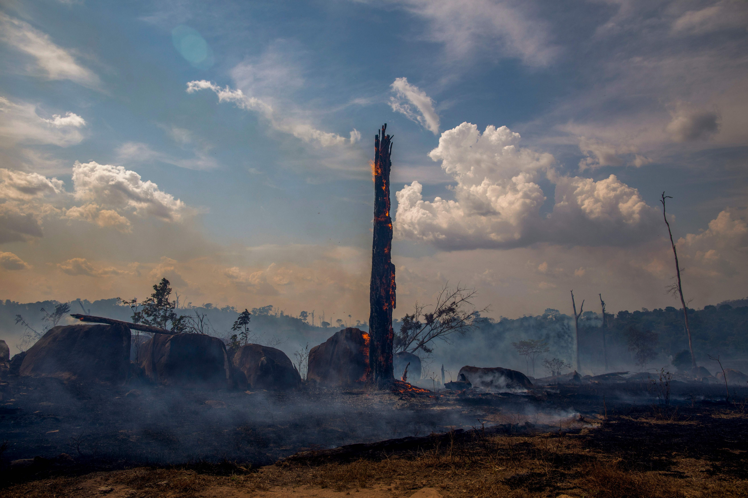 Amazon Fires Threaten 'World's Most Endangered Tribe' As Campaigners ... Amazon Fires Threaten 'World's Most Endangered Tribe' As Campaigners ...