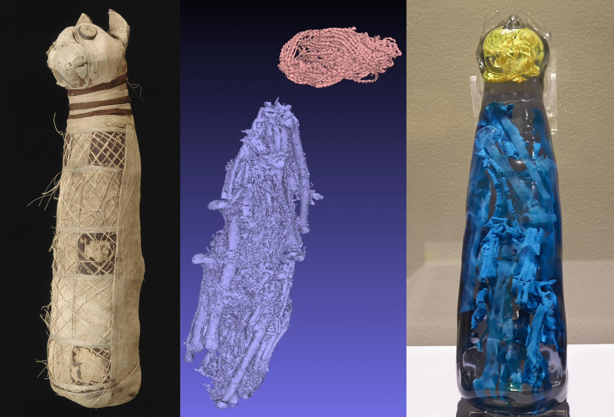 Ancient Egyptian Mummified Cat Is Actually Several Different Cats With 