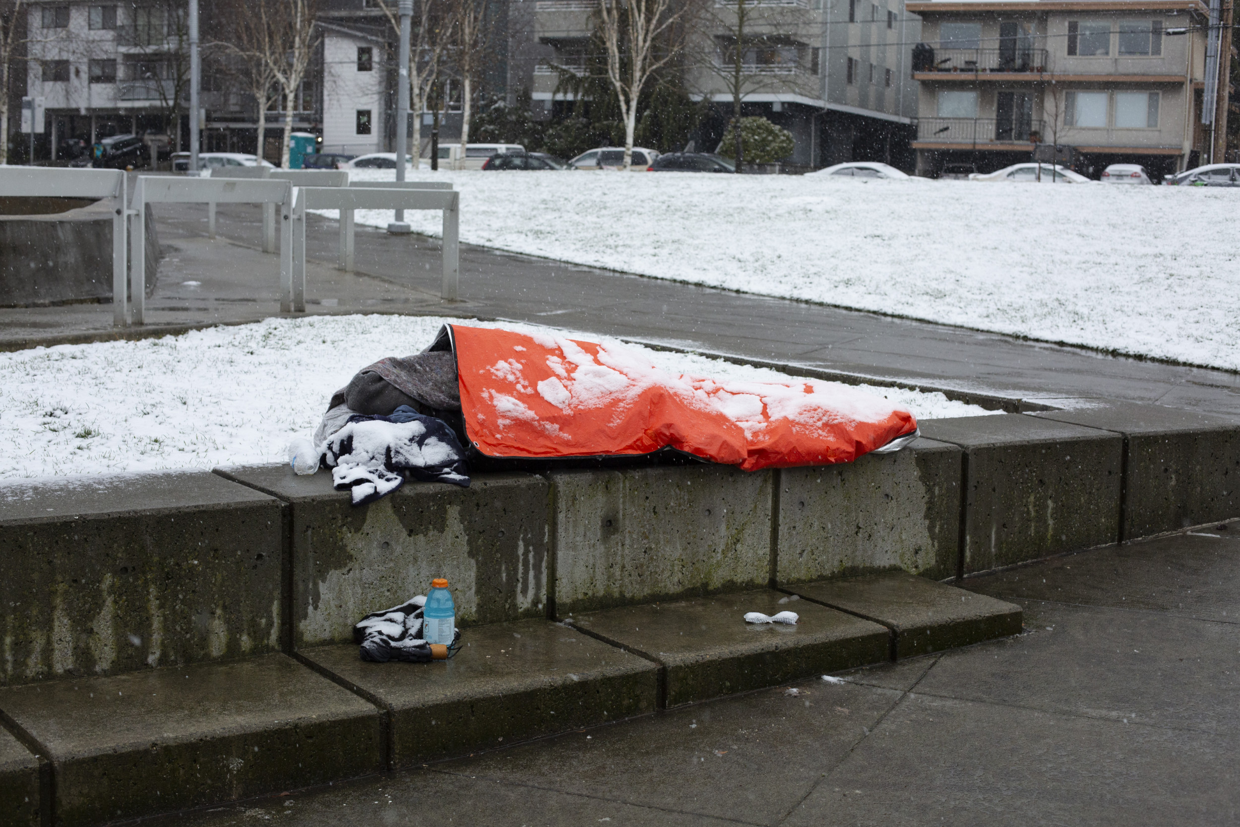 Seattle Nonprofit Facing Criticism After Hiring Stripper for ... Seattle Nonprofit Facing Criticism After Hiring Stripper for ...