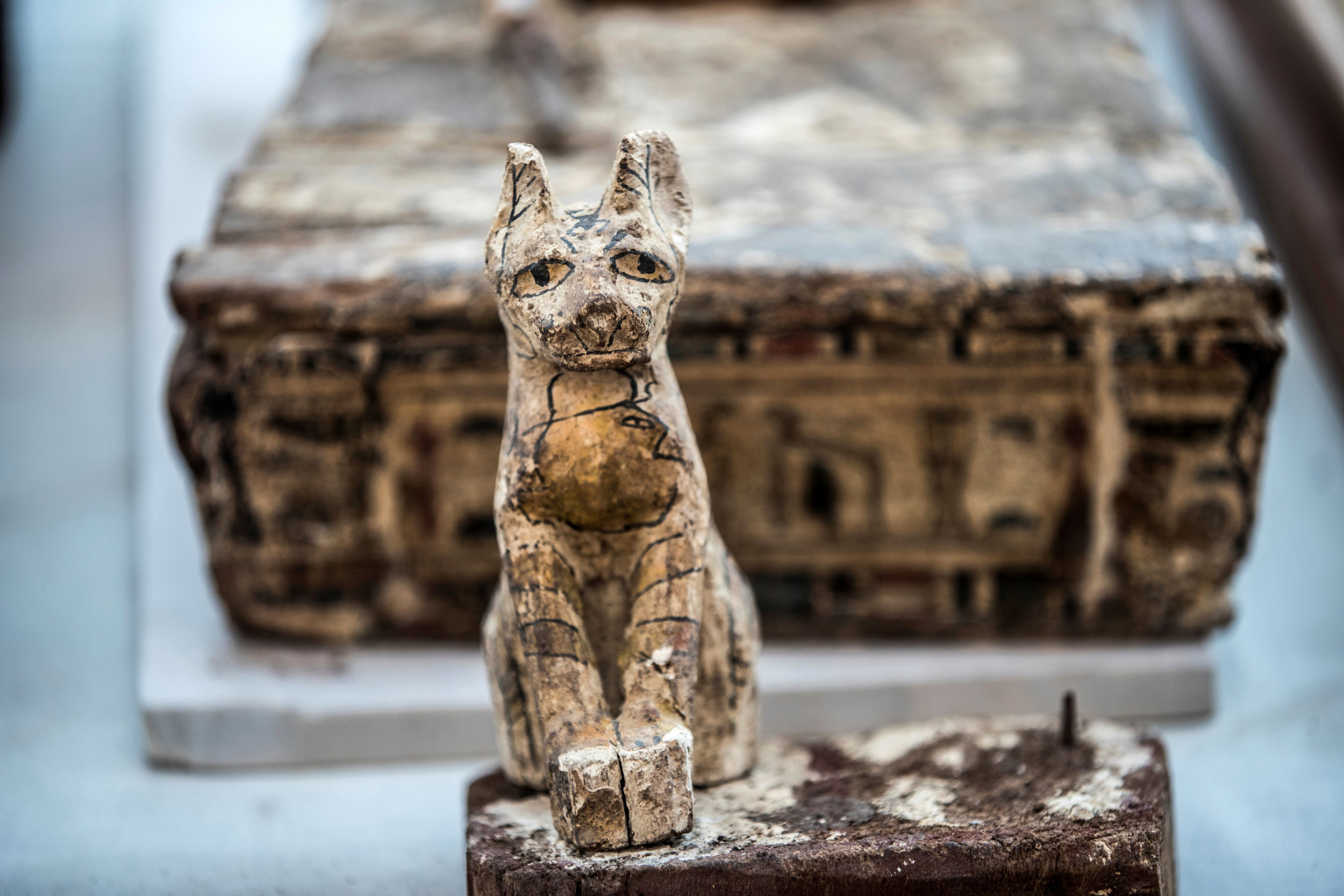 Here s What Mummified Pets In Ancient Egypt Look Like Beneath The Surface