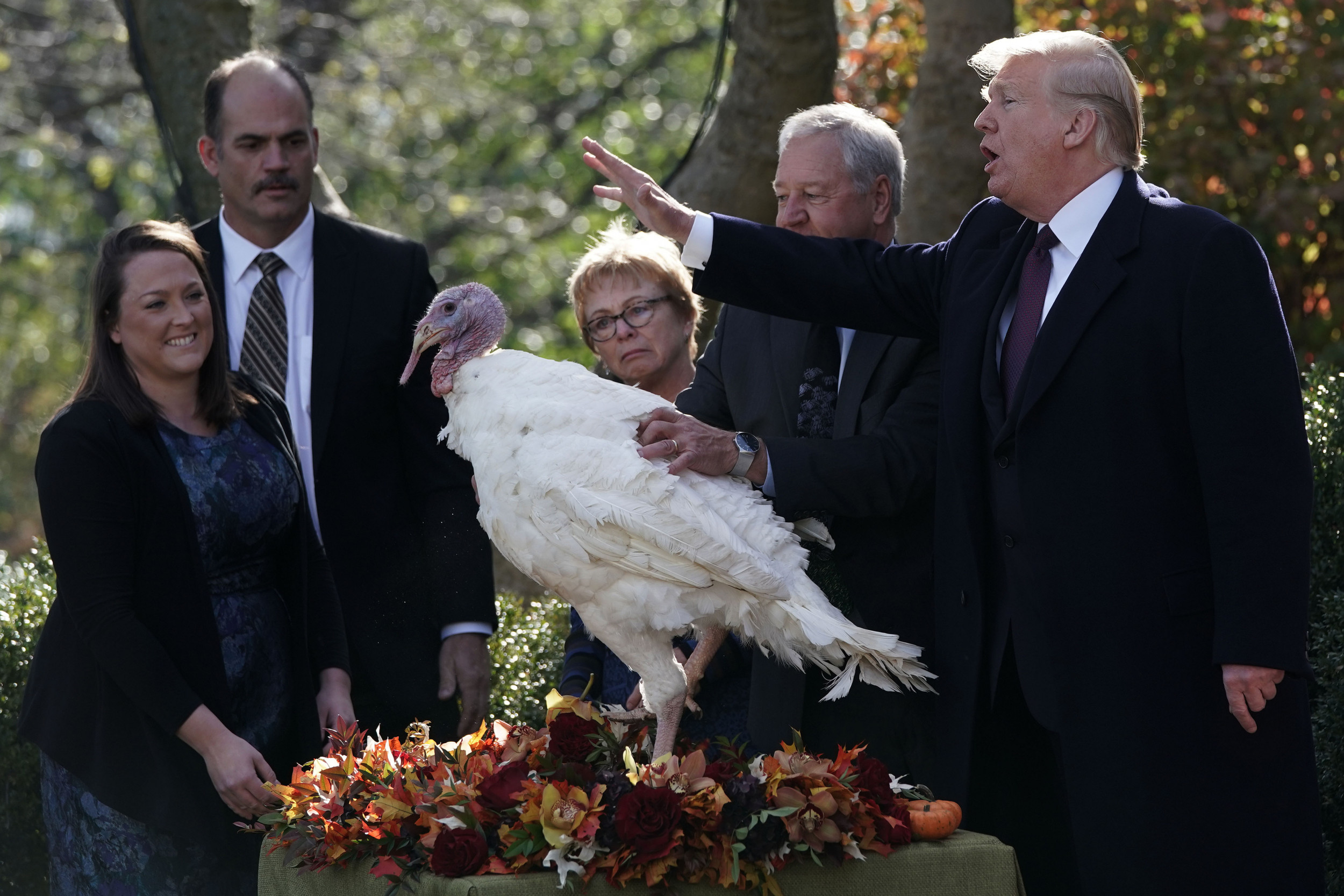 Mr. President, Please Stick to Pardoning Turkeys | Opinion - Newsweek