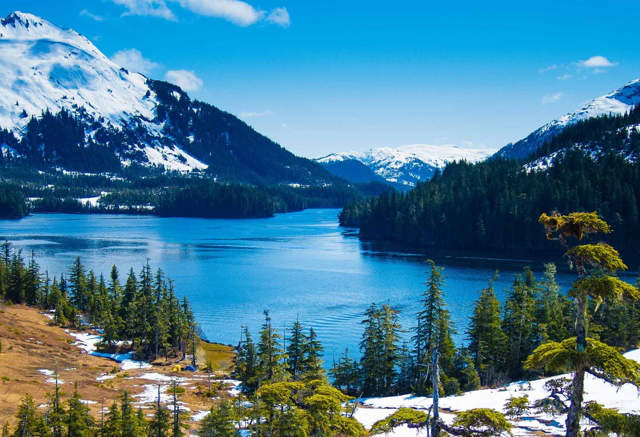 Why Cruising Through Alaska s Misty Fjords Should Be On Top Your Post