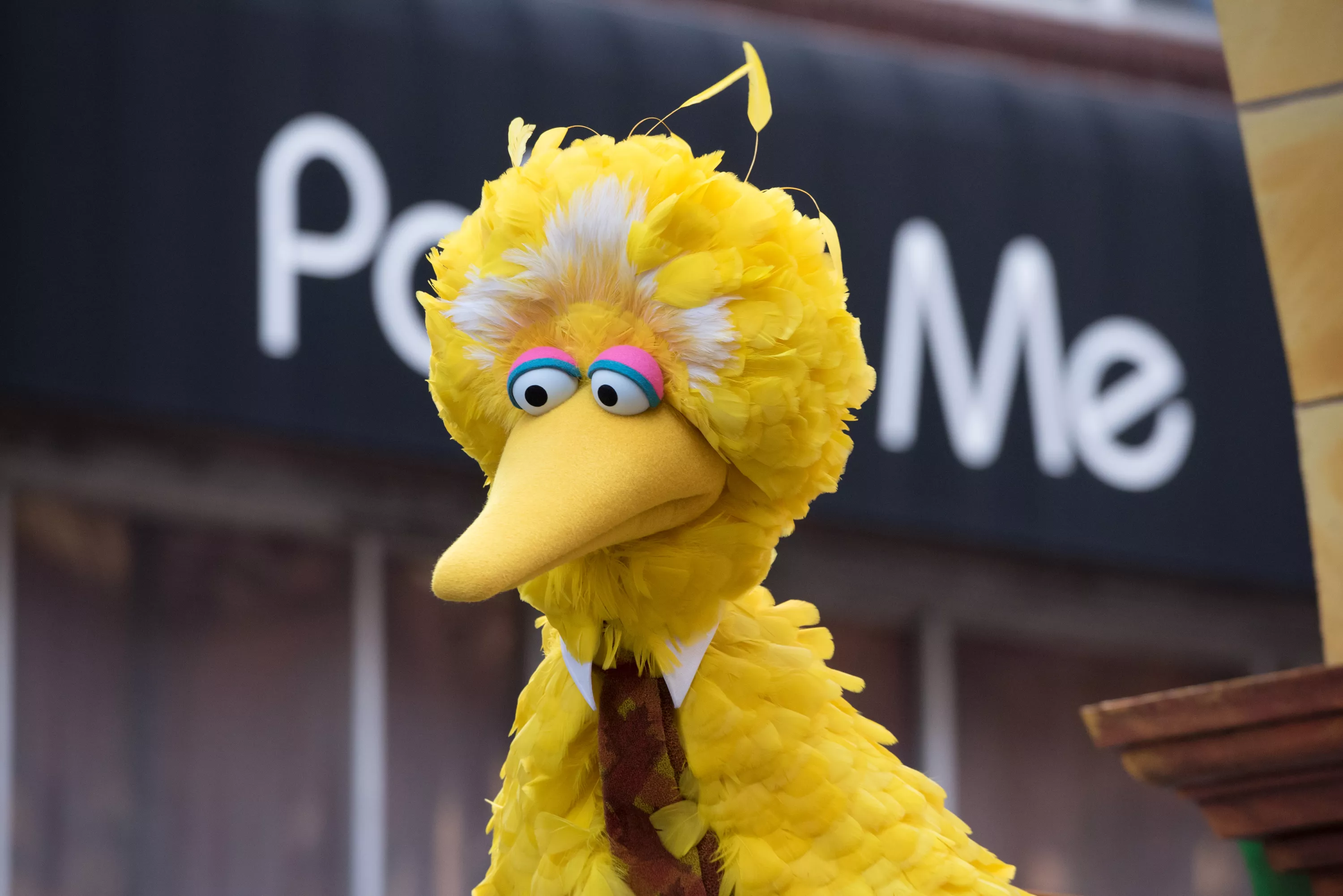 Big Bird Costume Rental