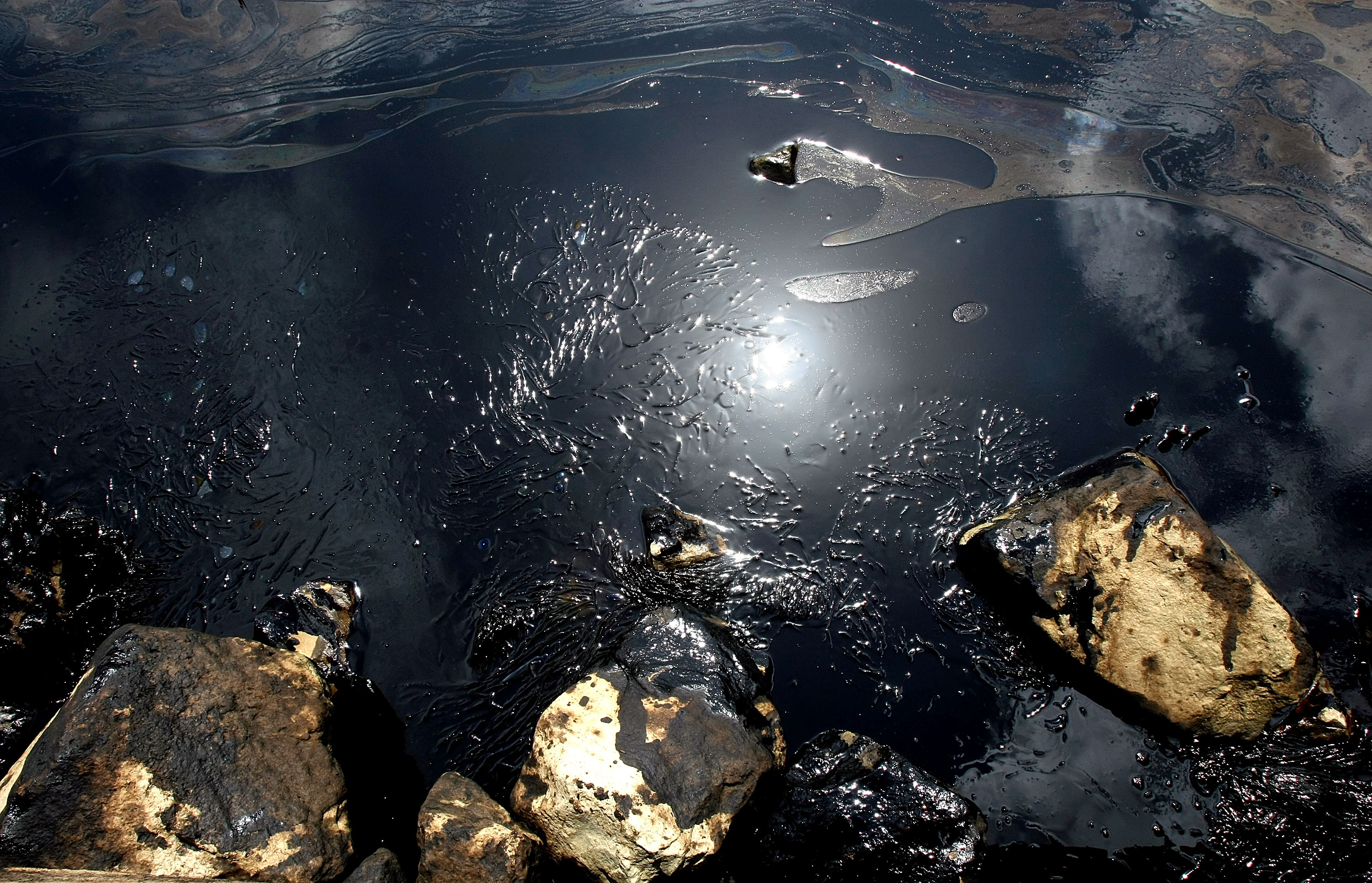 Barge Company To Pay 6 6M For Mississippi River Oil Spill That Damaged