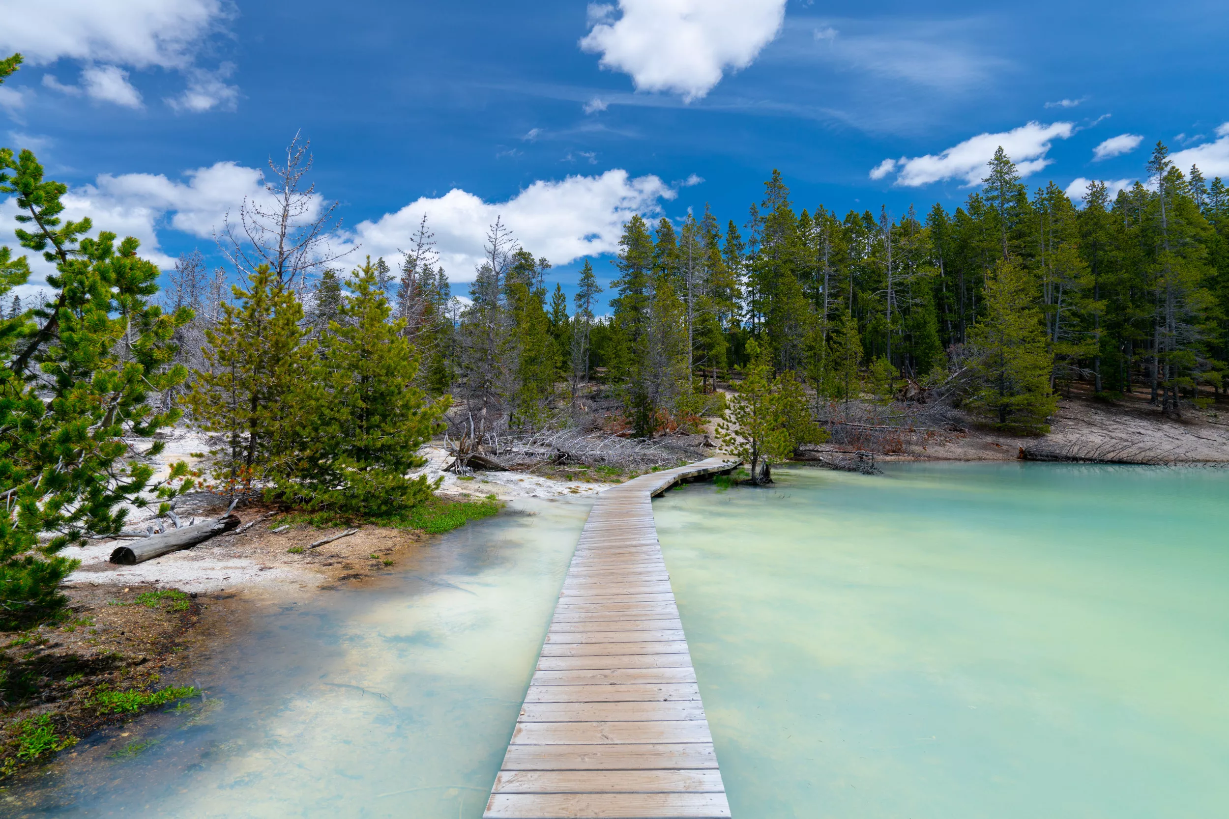 Yellowstone National Park Hd Wallpapers 17,100+ Yellowstone National