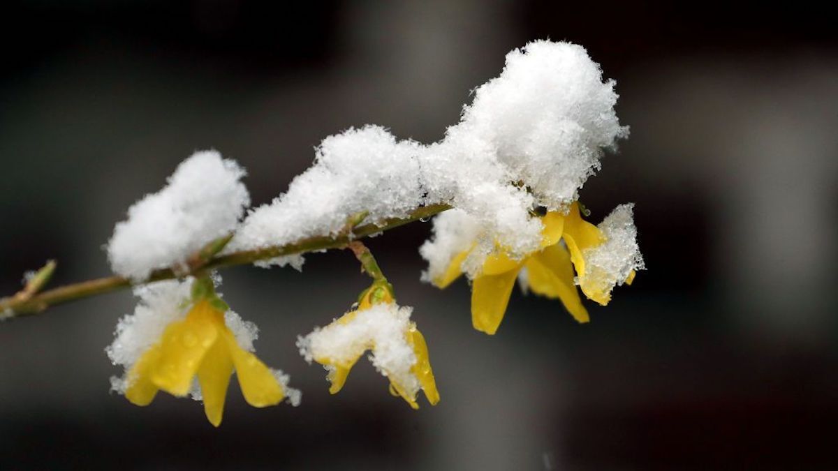 Despite Spring's Arrival, Two-thirds of U.S. Could Still Face Snow ...