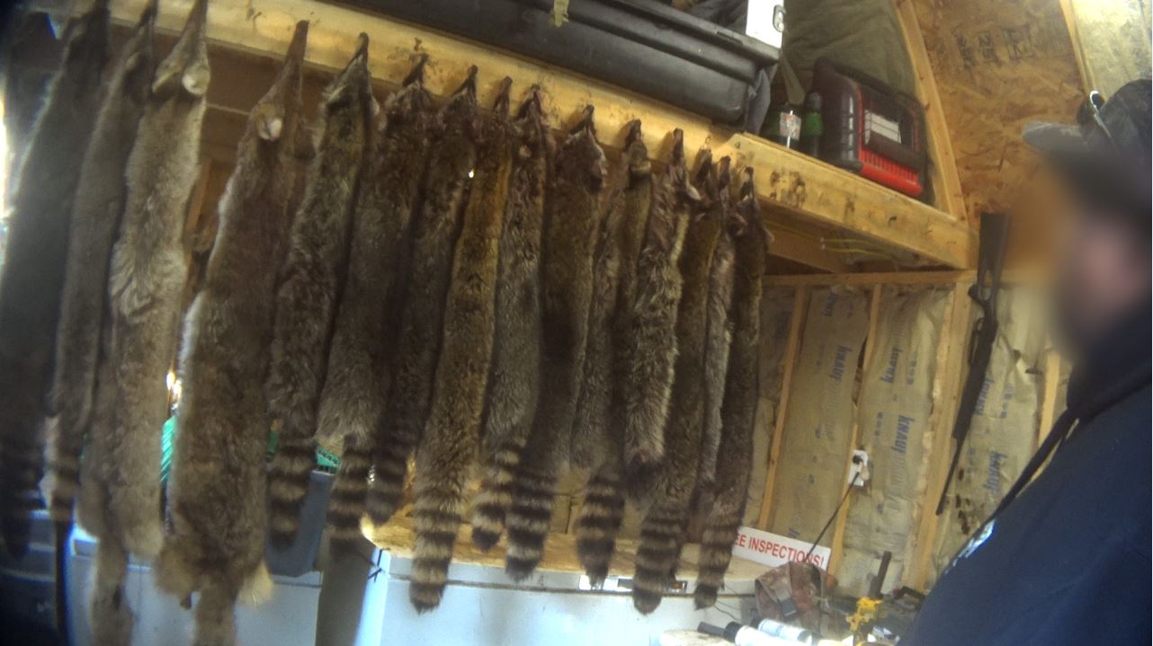 Petition update · Brutality of fur trapping in the United States shows ...