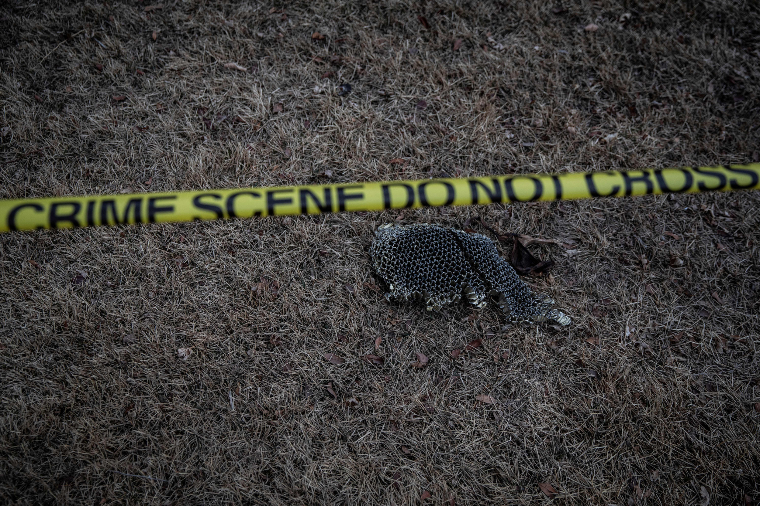 Plane Crash Leaves No Survivors After Striking Tree, Nearly Hitting ...