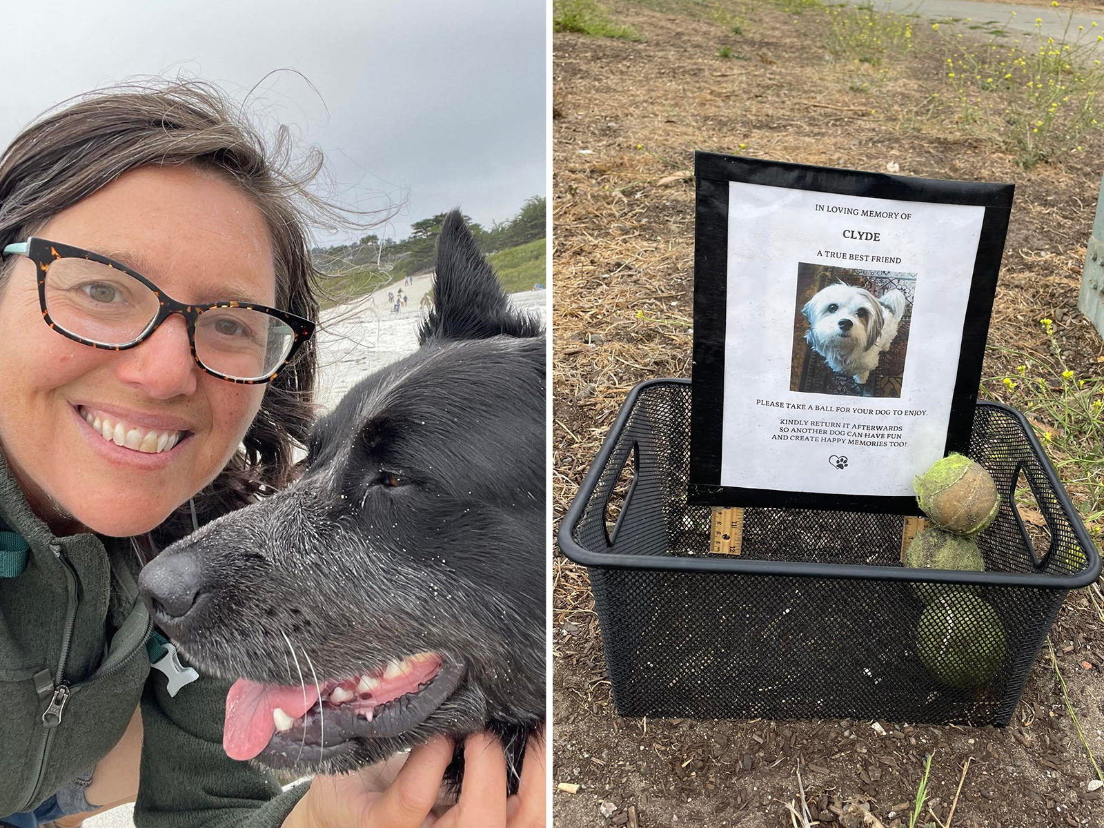 Dog Owner Leaves Kind Gesture in Park After Their 'Best Friend' Dies ...