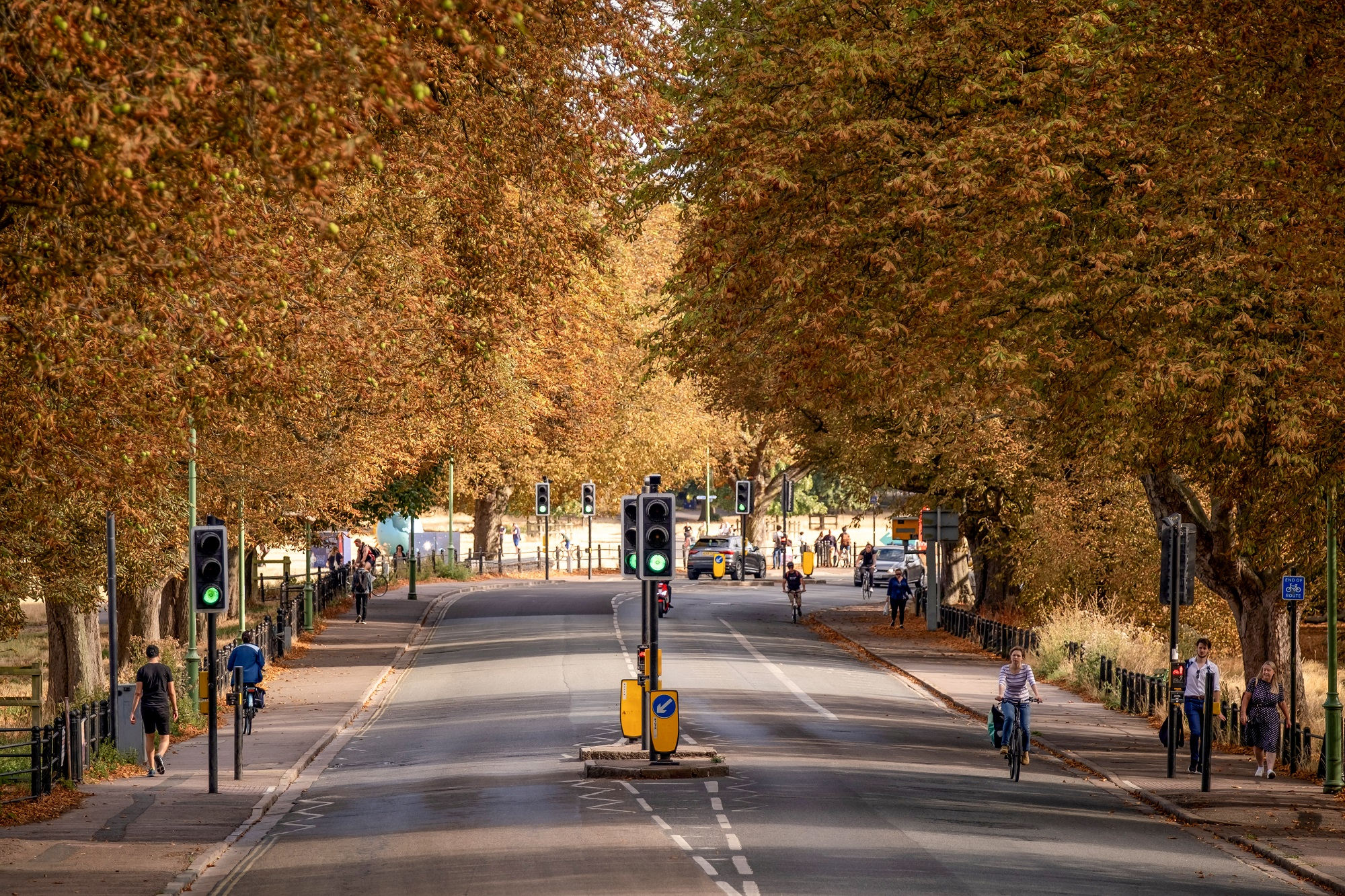 Extreme Temperatures Trigger 'False Autumn' in Britain - Newsweek