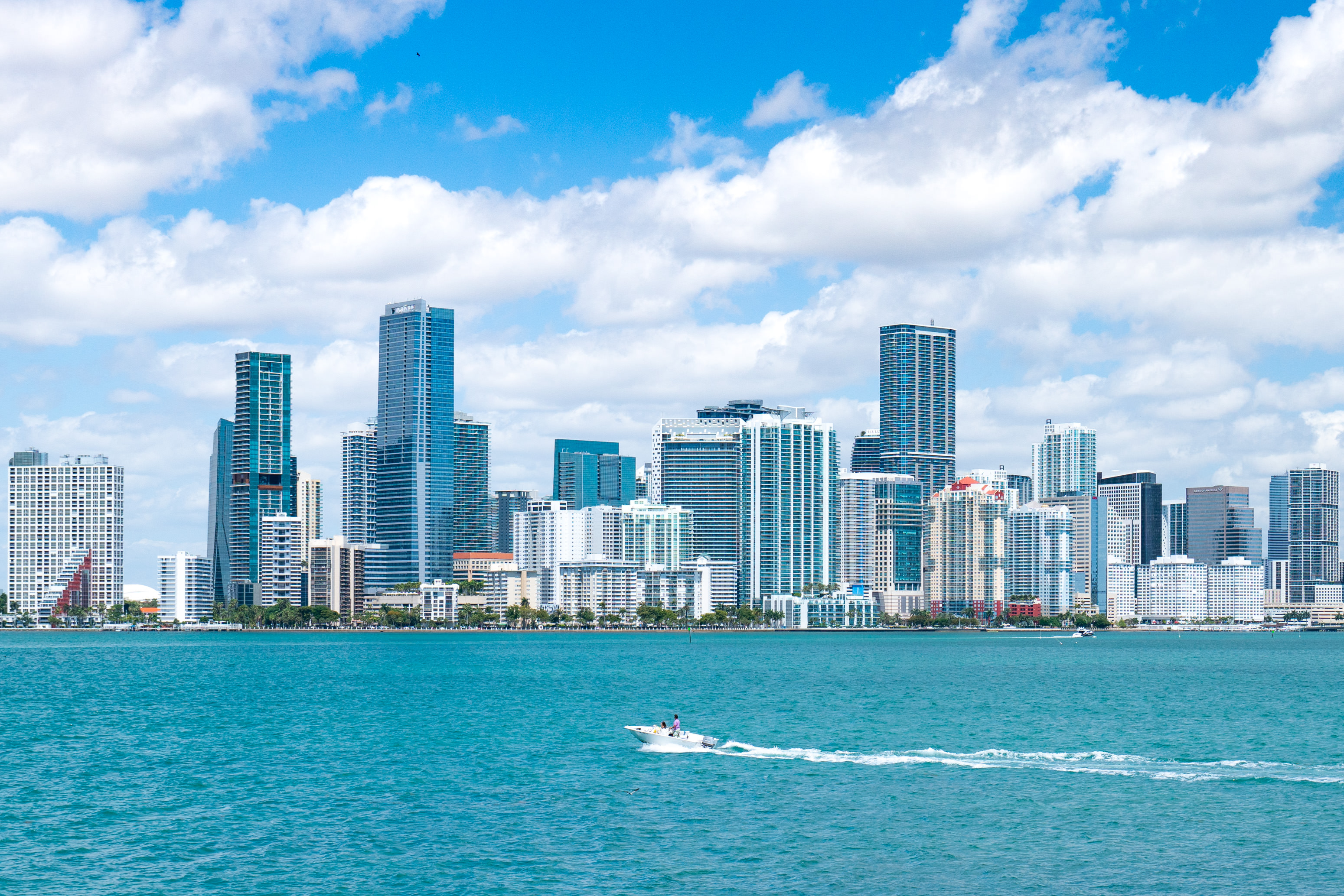 How We Can Help America | Opinion - Newsweek