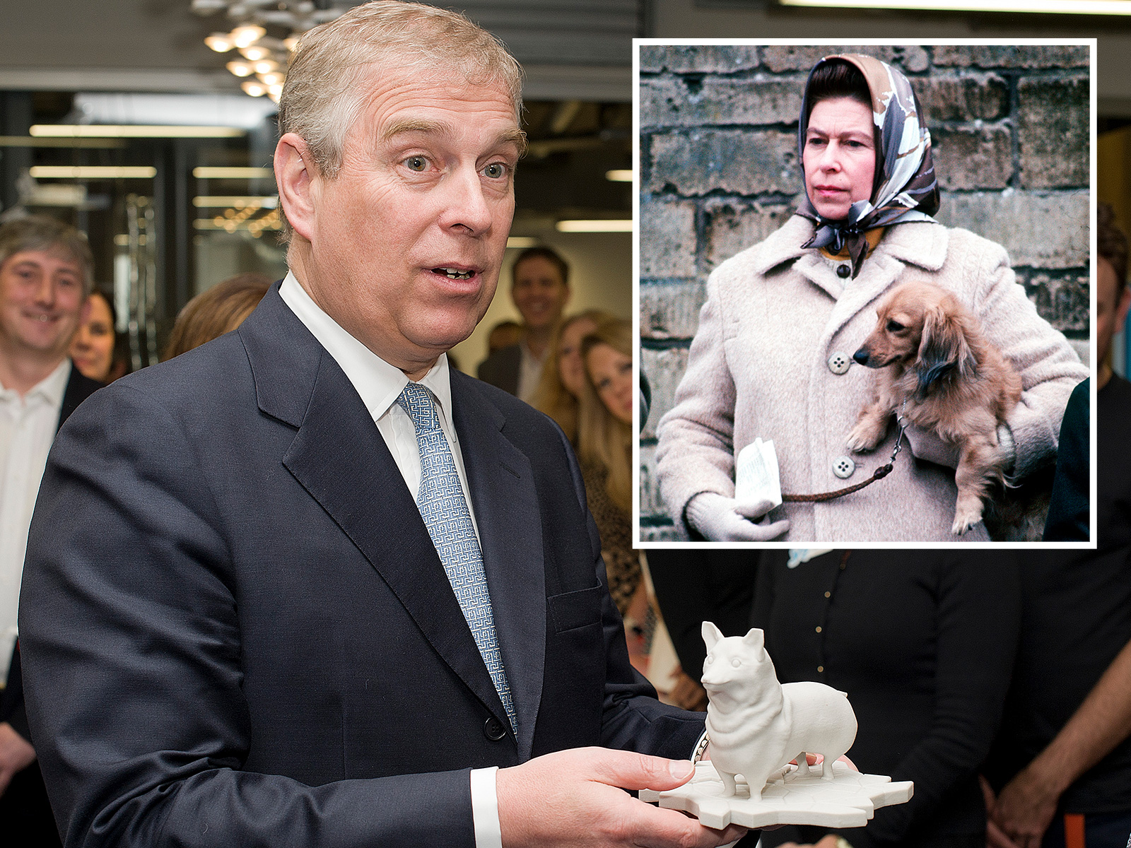 Fury as Queen's Beloved Dogs Left to Prince Andrew - Newsweek