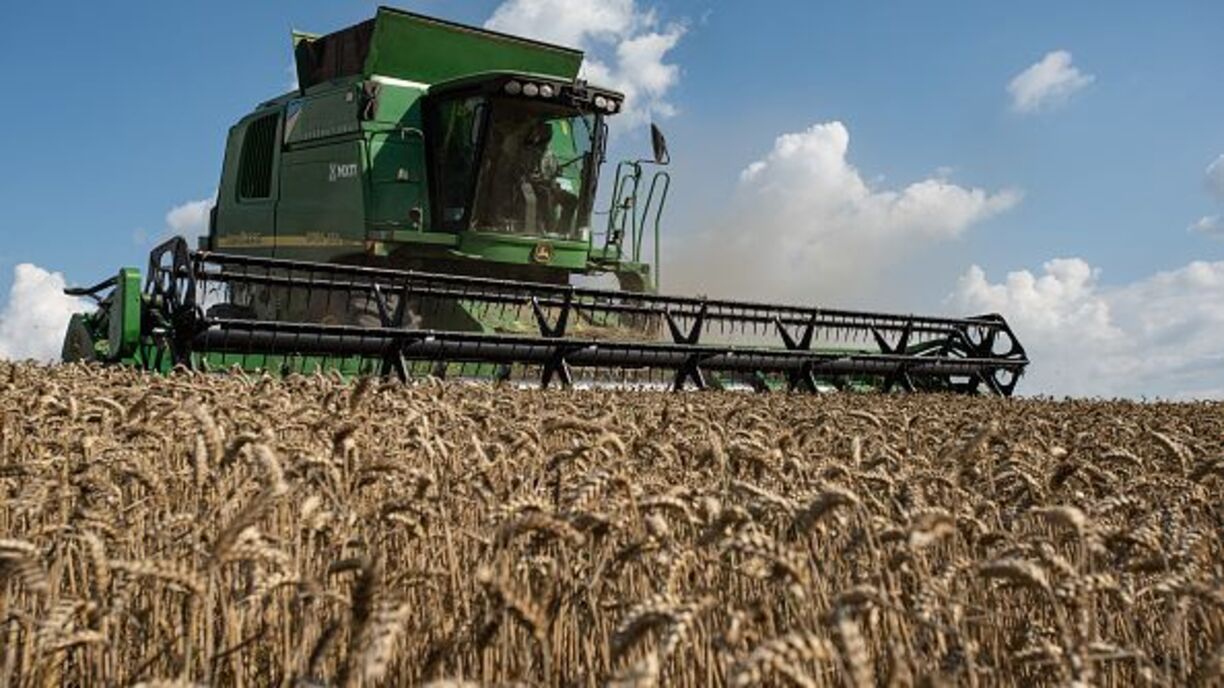 How Global Conflict, Drought Have Led to Rising Food Prices - Newsweek