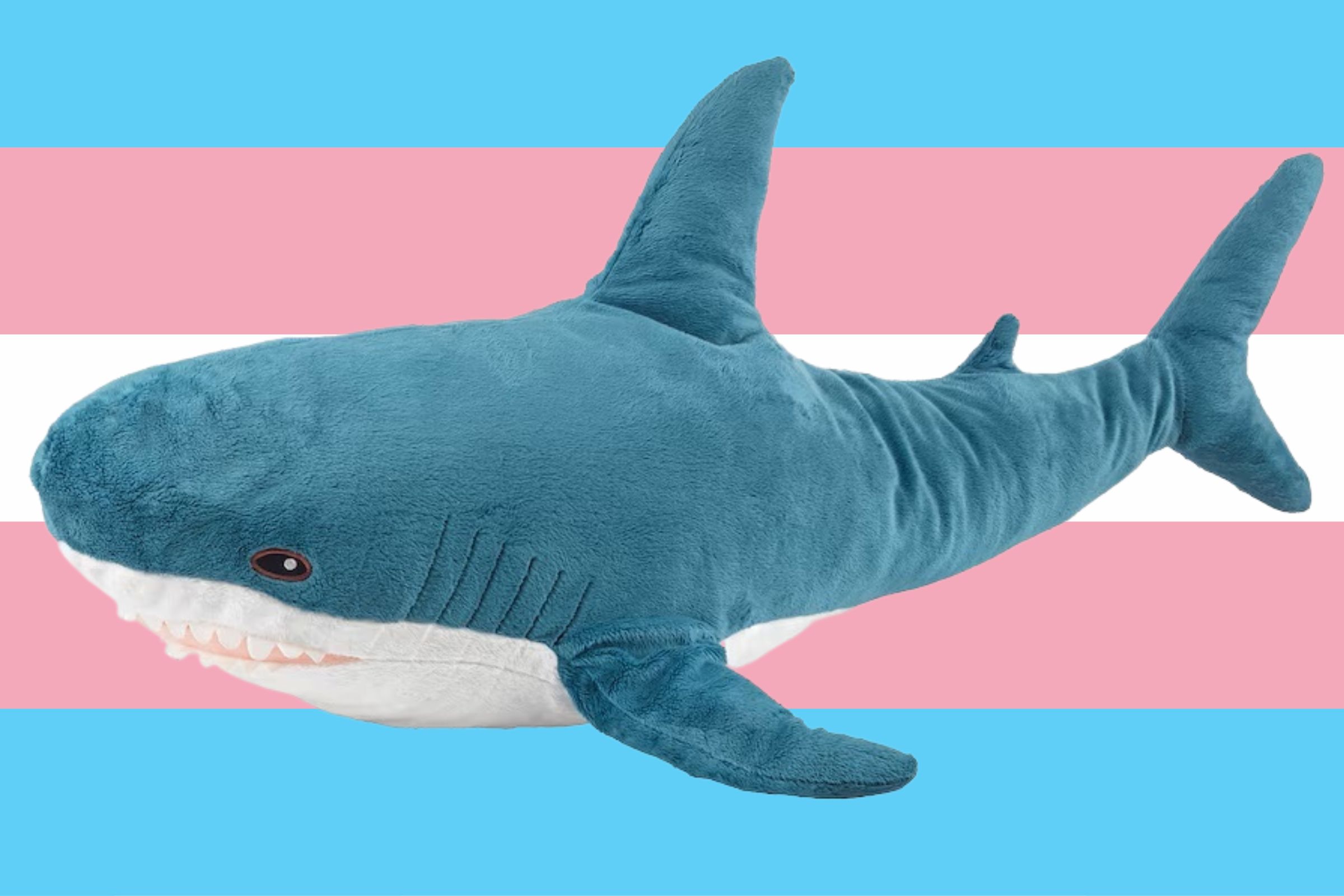 How The IKEA Shark Became A Trans Icon How The IKEA Shark Became A Trans Icon