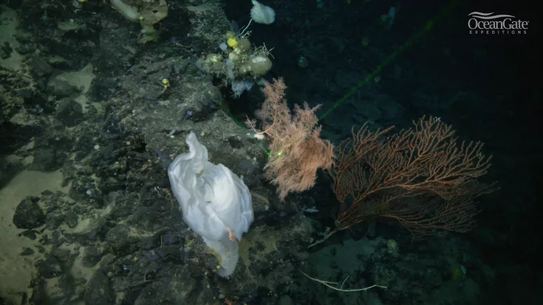 GeoGarage blog: A 26-year-old Titanic mystery solved. The discovery ... GeoGarage blog: A 26-year-old Titanic mystery solved. The discovery ...