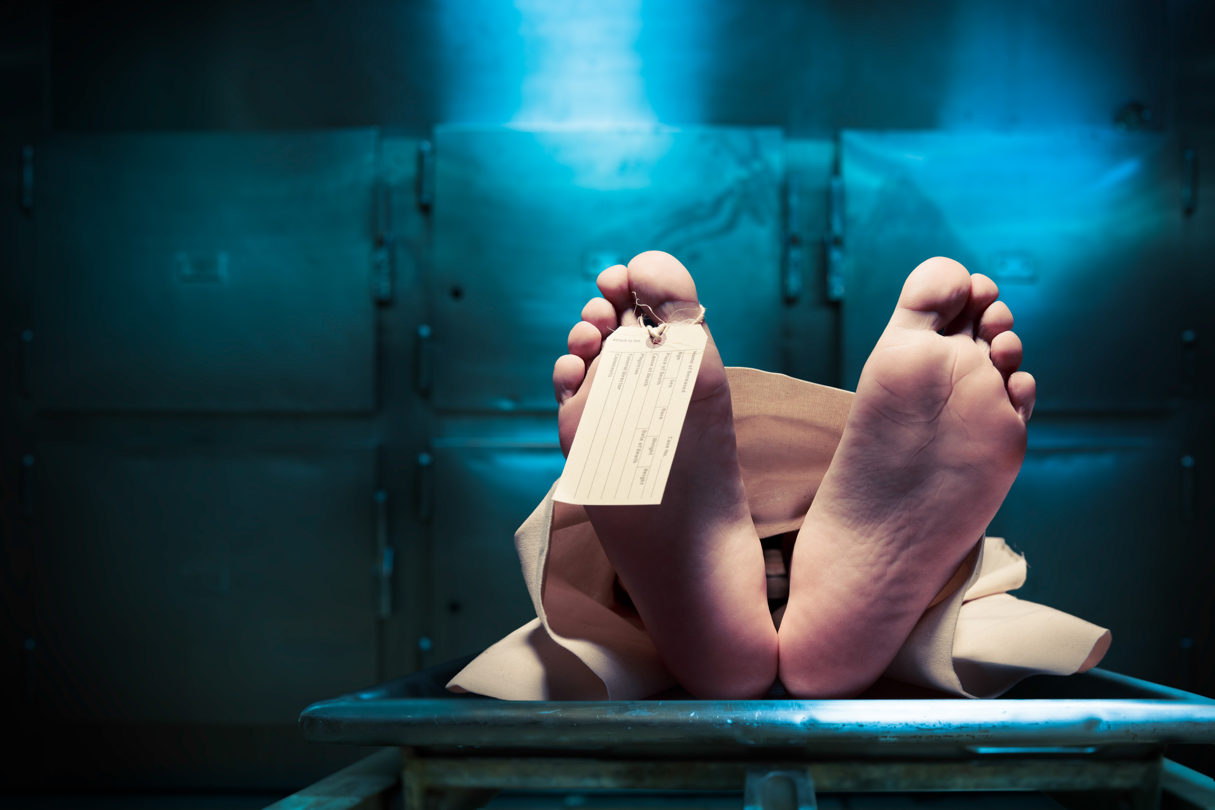 'I Dissect Bodies in Front of Hundreds of People' - TrendRadars