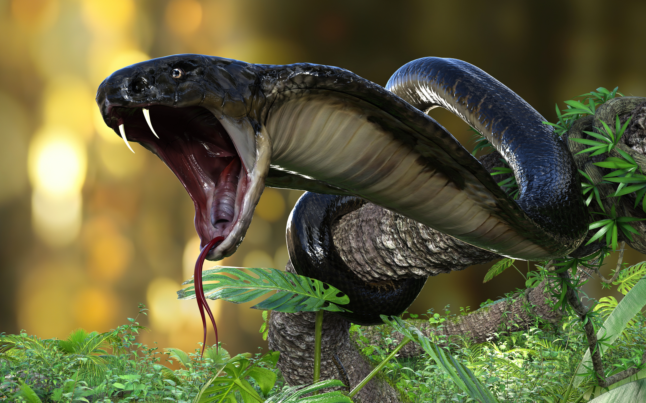 King Cobra Snake Attacking