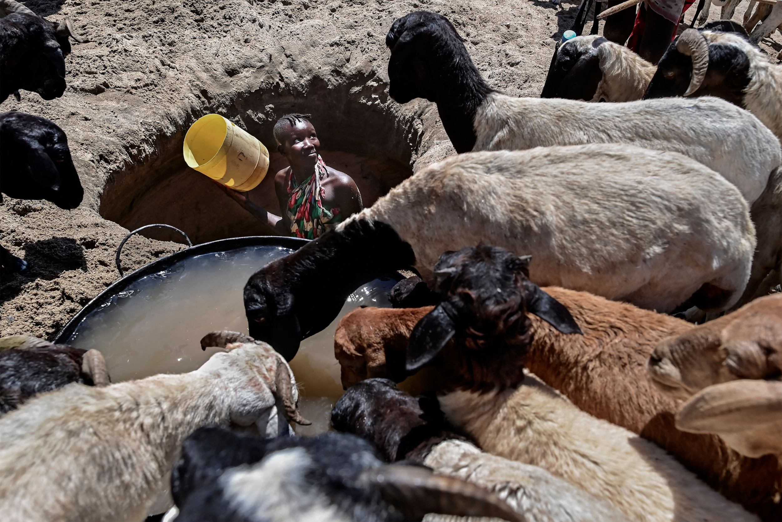 Indigenous People Need Real Compensation for Climate Change | Opinion ...