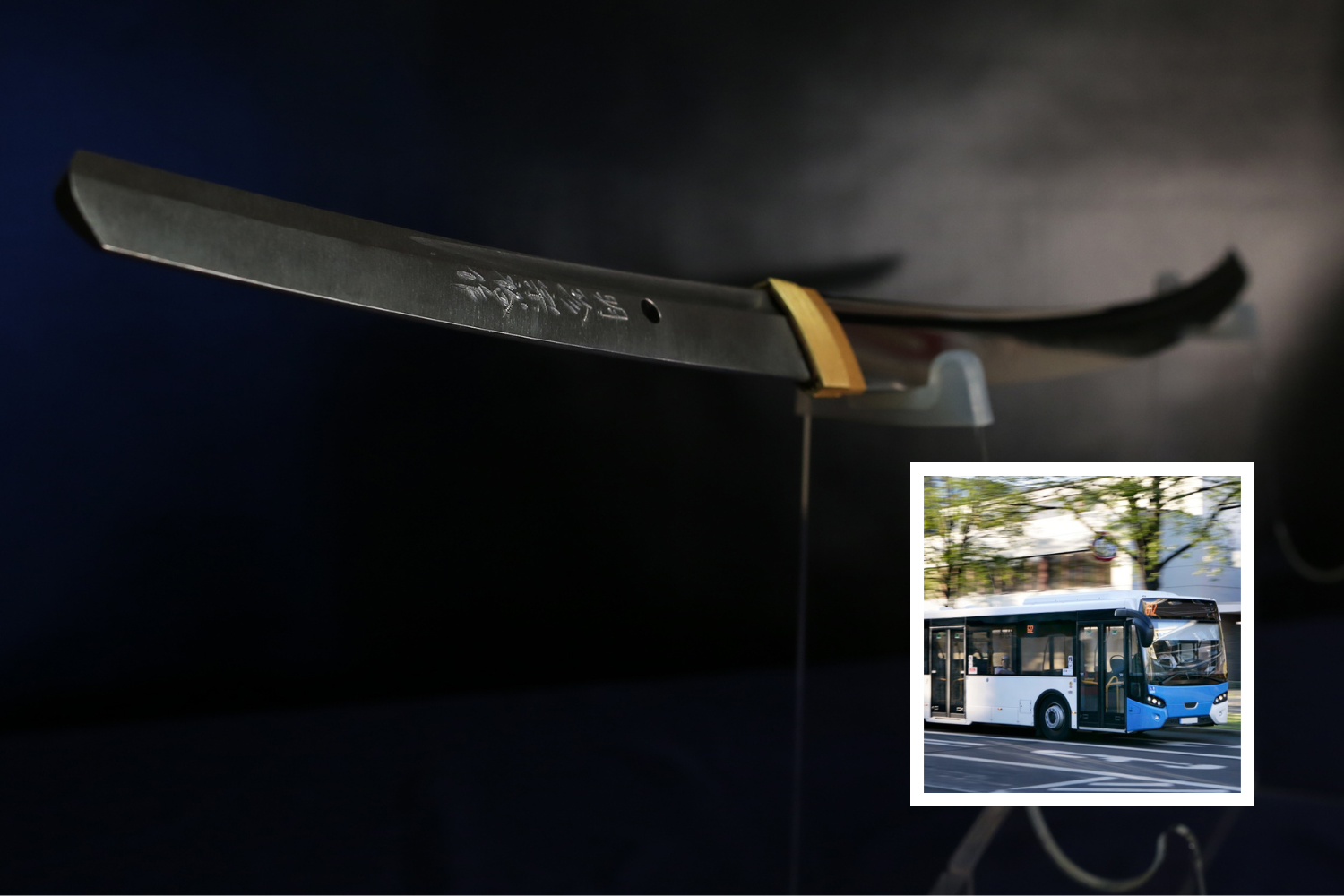 Bus Fight Turns Bloody as Sword-Wielding Attacker Slashes Victim - Newsweek