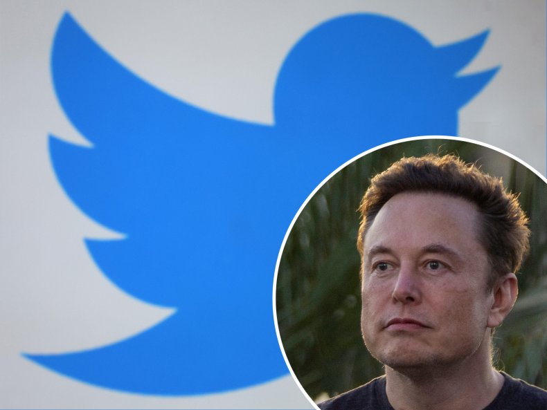 Elon Musk Poised to Step Down as Twitter Head as Public Rejects Him Elon Musk Poised to Step Down as Twitter Head as Public Rejects Him