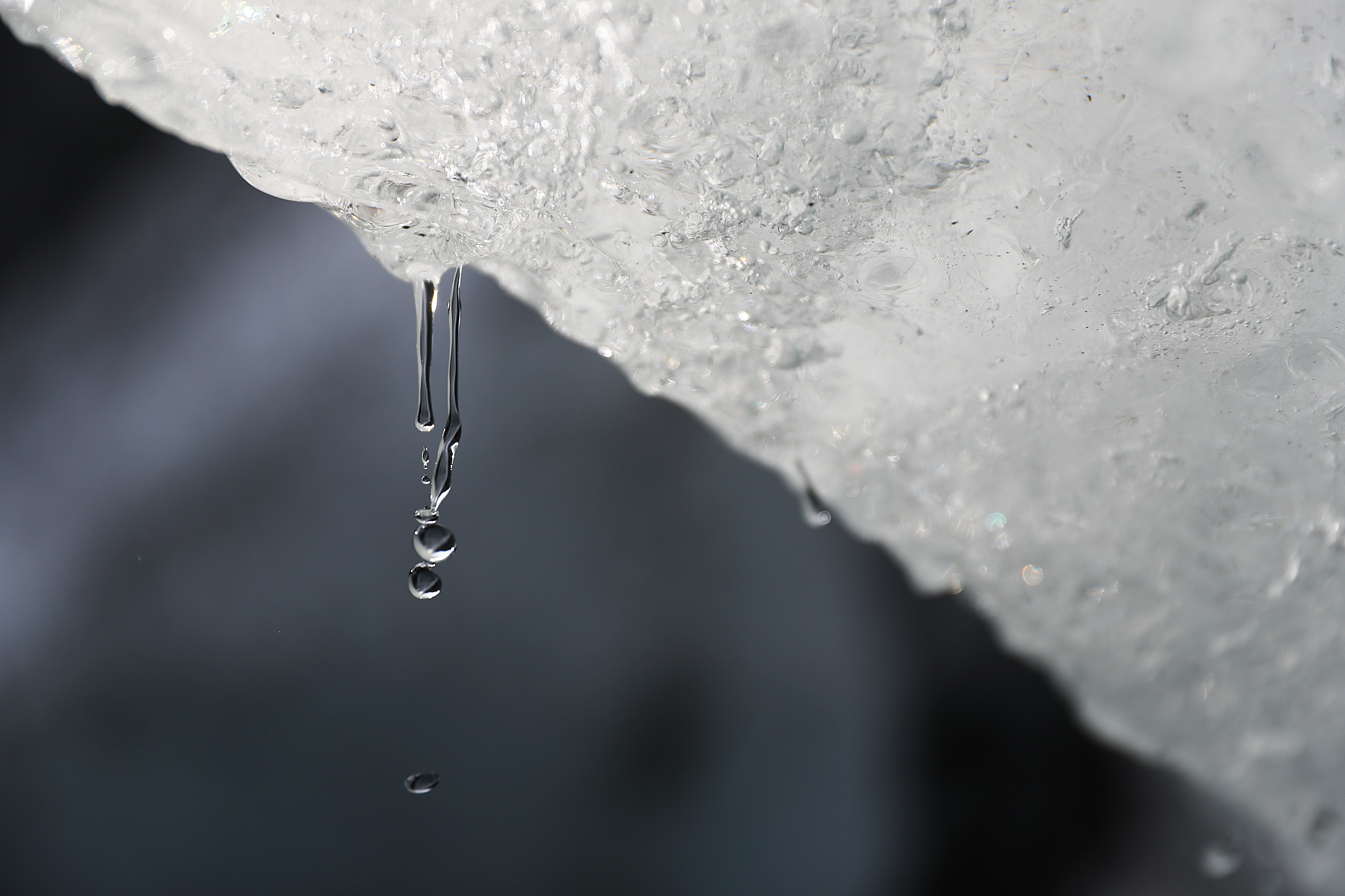 In the Race To Save Earth's Biodiversity, Water Is Getting Its Due ...