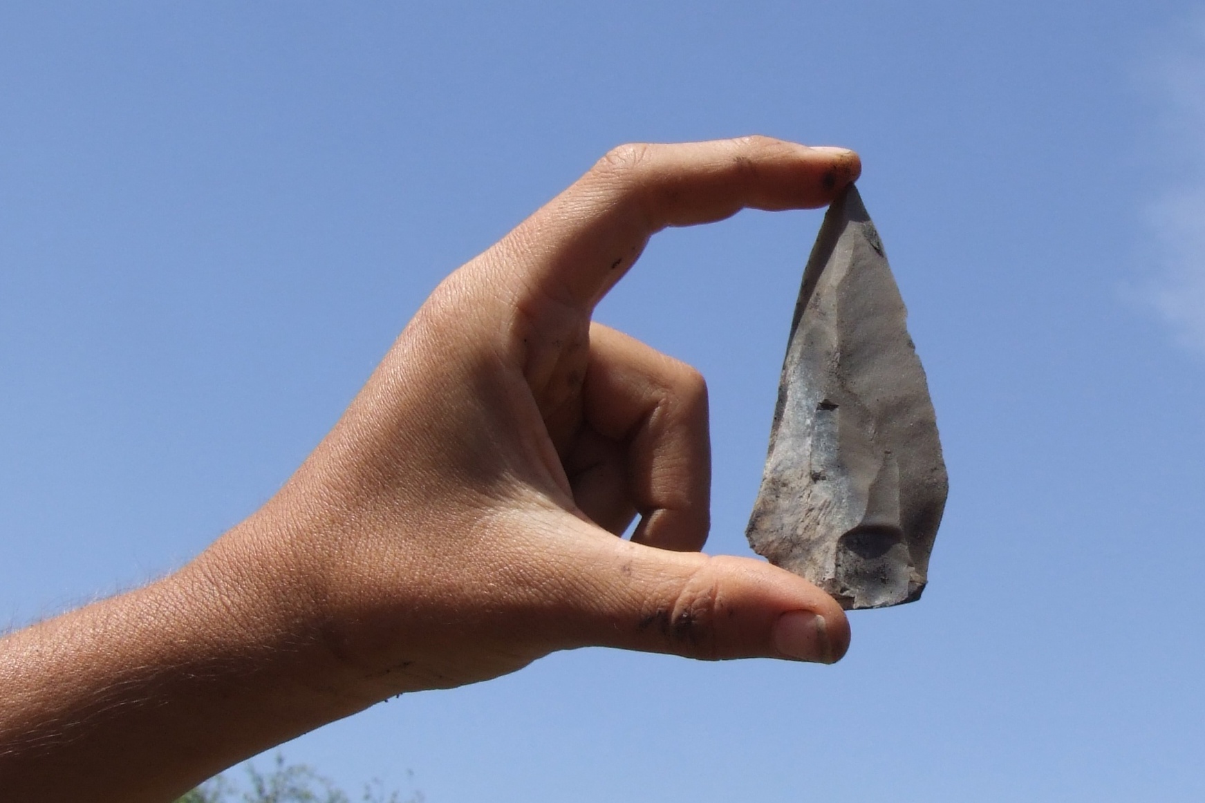 Humans Had a Surprising Technique to Kill Giant Cows 60,000 Years Ago ...