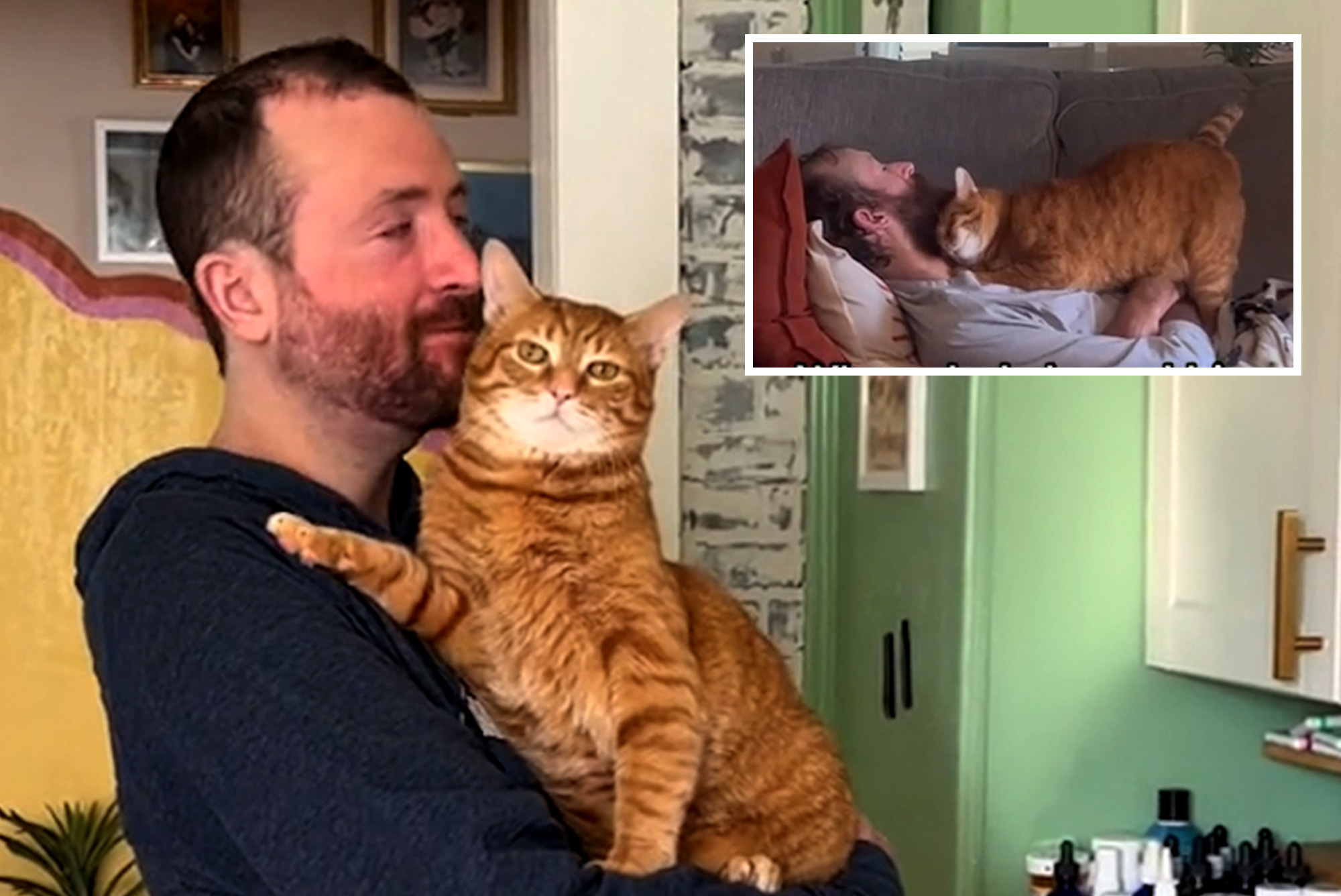Cat s Reaction When Owner Shaves Beard Has Internet Howling Betrayal