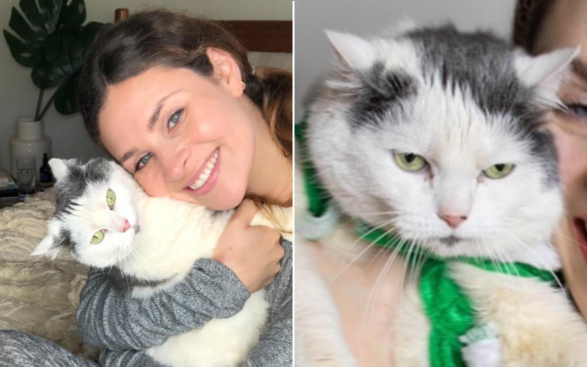 Pet Sitter Sends Owner Hilarious Picture of Her Unfriendly Cat: 'Spicy' - Newsweek