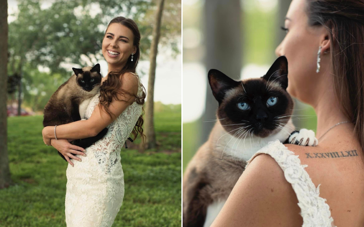 Bride Sidelines Groom To Pose For Wedding Photos With Cat: 'Number One ...