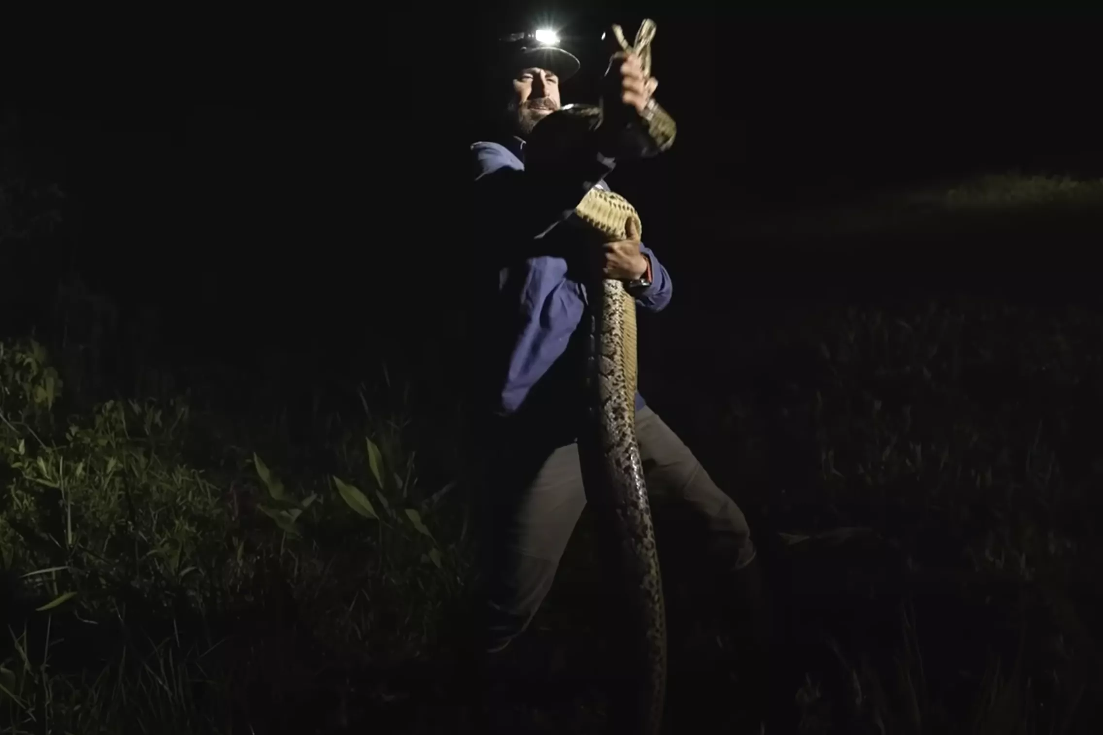Snake Wrangler Memes
