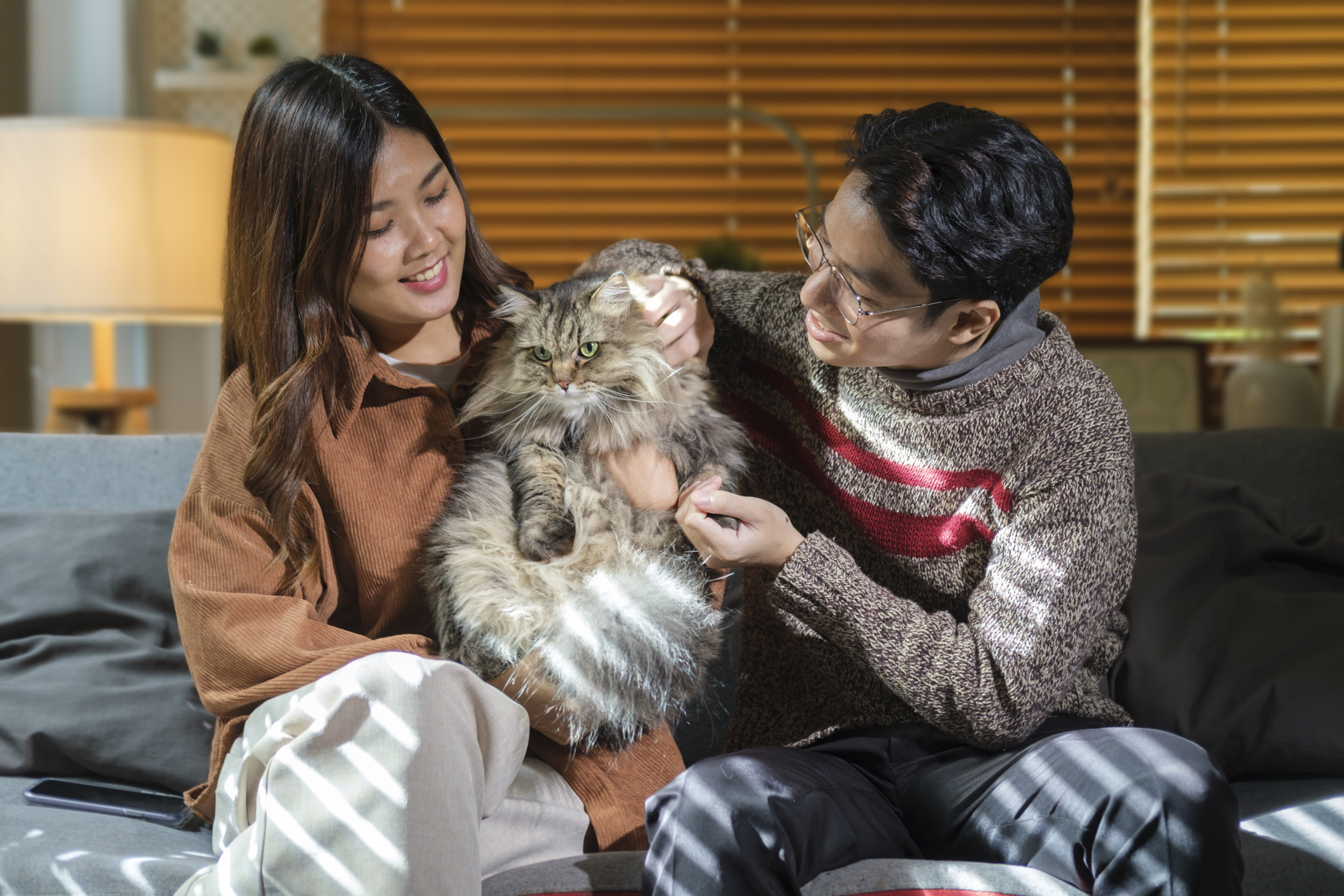 Rescue Cat Ensuring No Parent Is Left Out With His Paw Melts Hearts ...