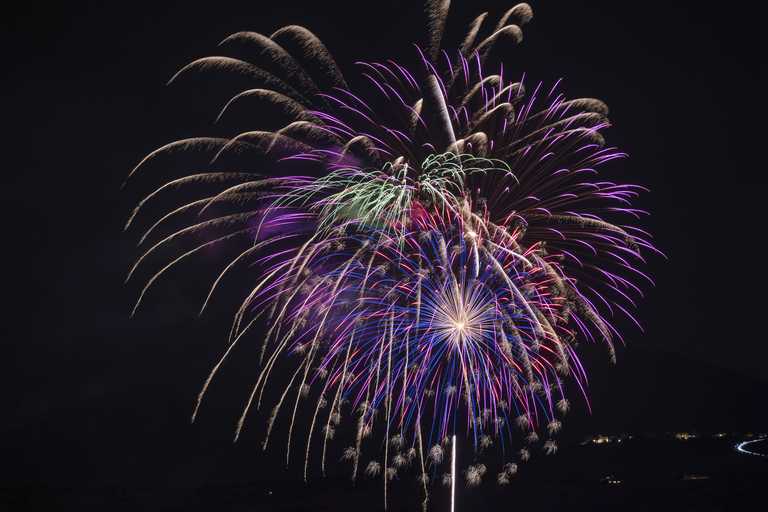 Fireworks Spark House Fire That Kills Pet Dog: Fire Officials - Newsweek