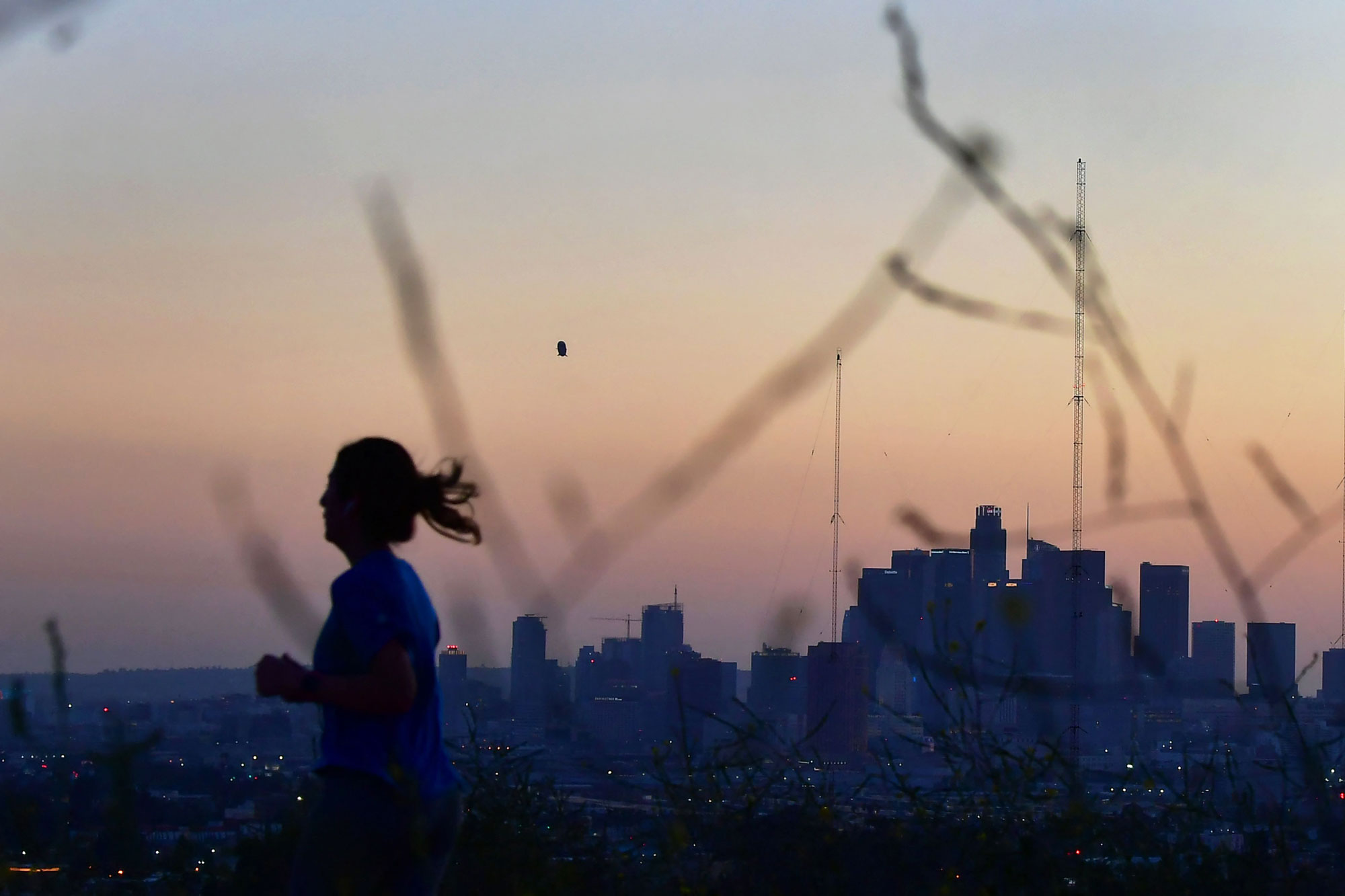 Serial Predator Accused of Attacking Six Women in California - Newsweek