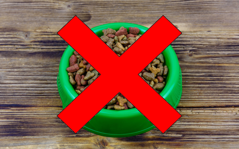 FDA Issues Warning to Pet Owners After Salmonella Found in Cat and Dog Food FDA Issues Warning to Pet Owners After Salmonella Found in Cat and Dog Food