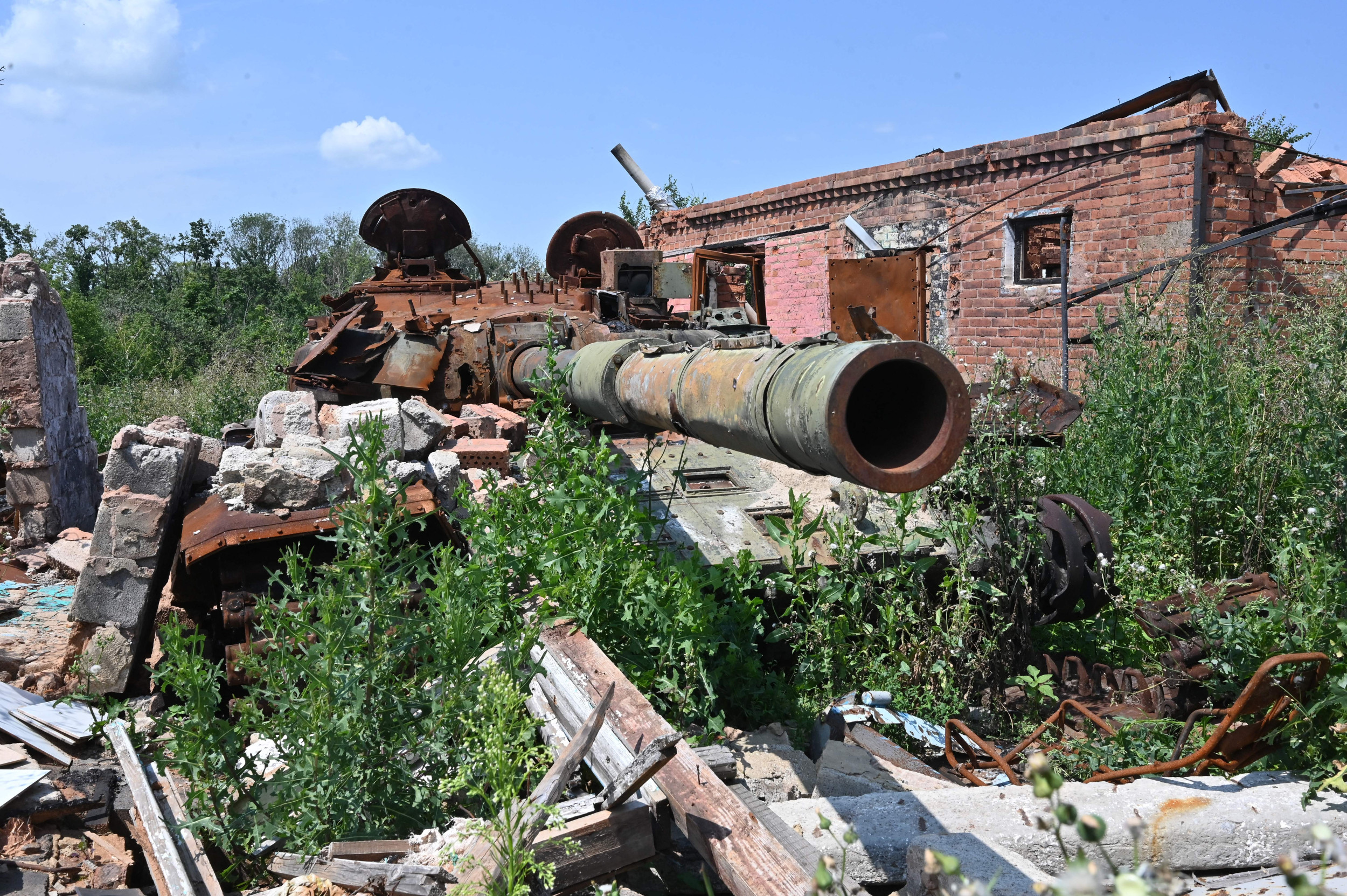 Ukraine's Secretive 'White Wolves' Unit Has Destroyed 216 Tanks: Kyiv ...