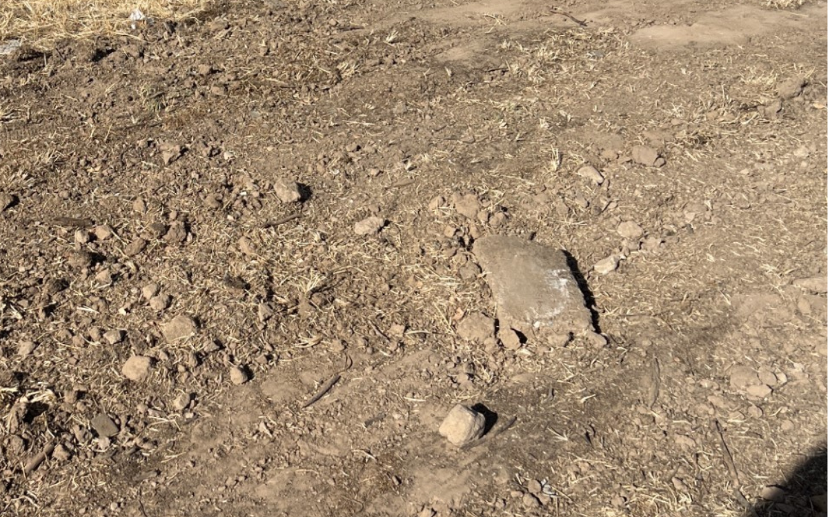 Man Makes Eerie Discovery While Digging Up Backyard–'Extremely Freaked ... Man Makes Eerie Discovery While Digging Up Backyard–'Extremely Freaked ...