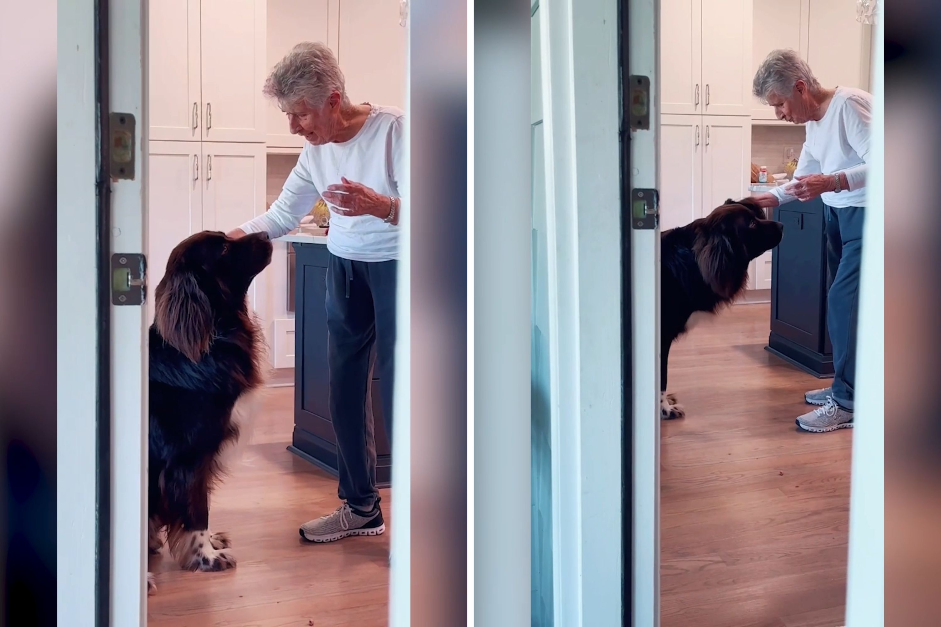 Grandma, 94, Caught Serenading 'Best Friend' Dog in Adorable Video ...