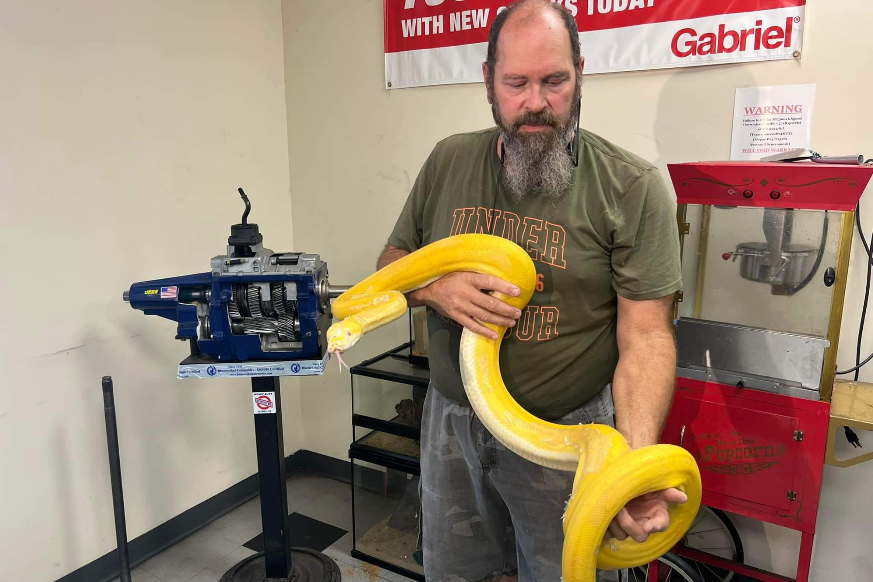Albino Python That Terrorized Trailer Park for Six Months Captured ...
