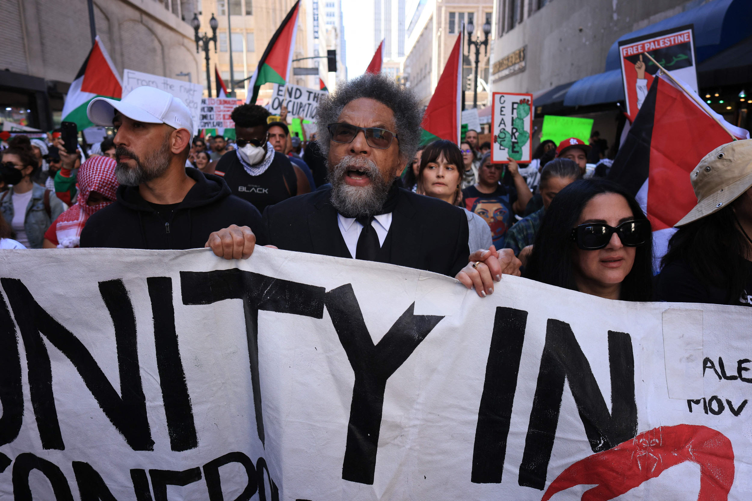 Cornel West's Speech on 'Genocidal Attack' in Gaza Viewed 1 Million ...