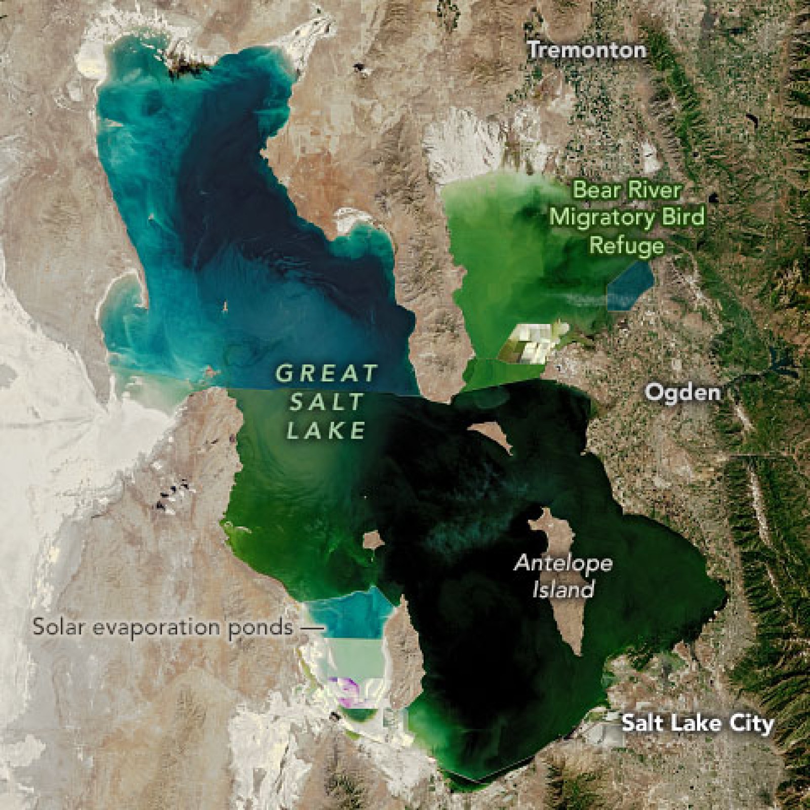 Great Salt Lake Map United States How A Tiny Shrimp Became A State great-salt-lake-map-united-states-how-a-tiny-shrimp-became-a-state