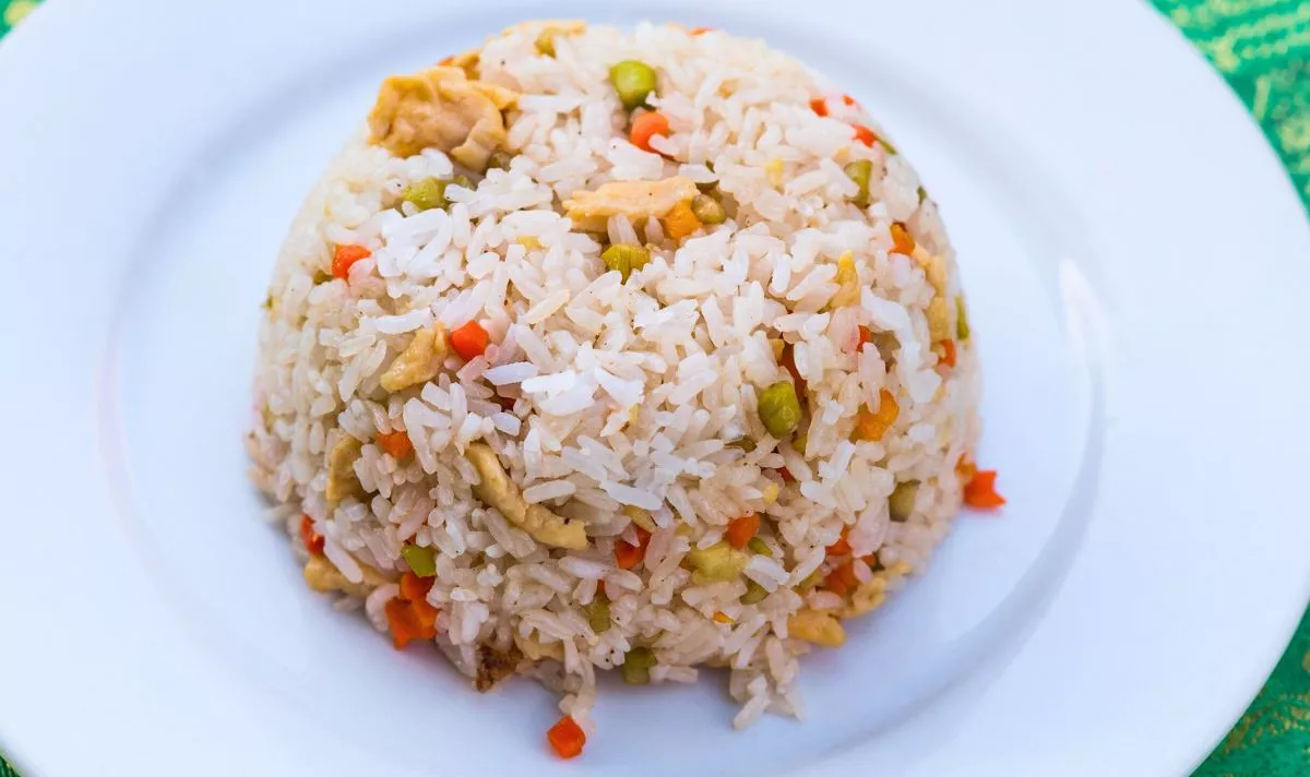 Chicken Fried Rice Disease Bacillus Cereus | Barfblog