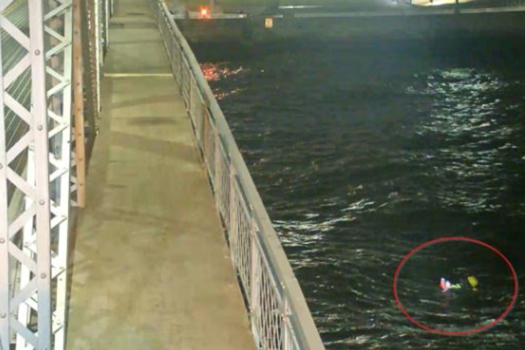 Moment Dog Who Fell Into Freezing Water Heroically Rescued From 8-ft ...