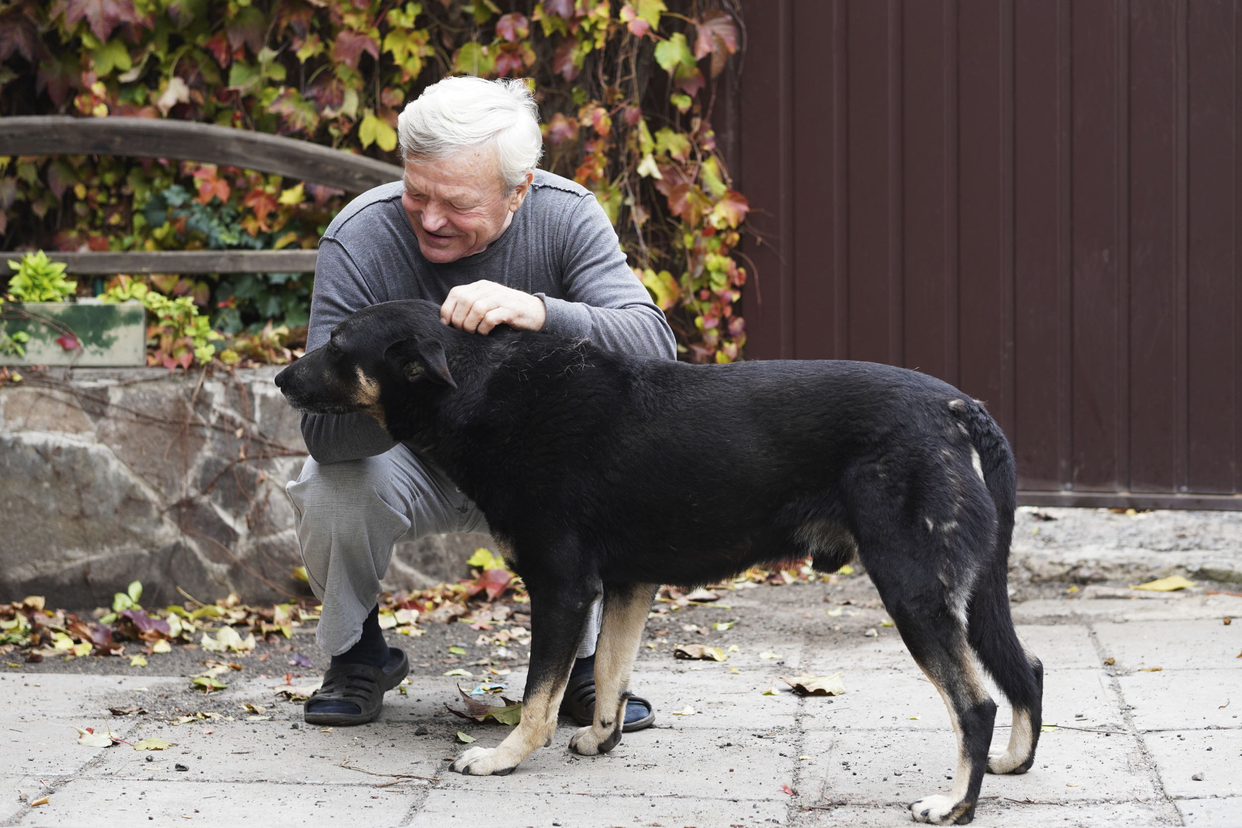 Scared Rescue Bonding With Grandpa Melts Hearts: 'Dogs Know Good People ...